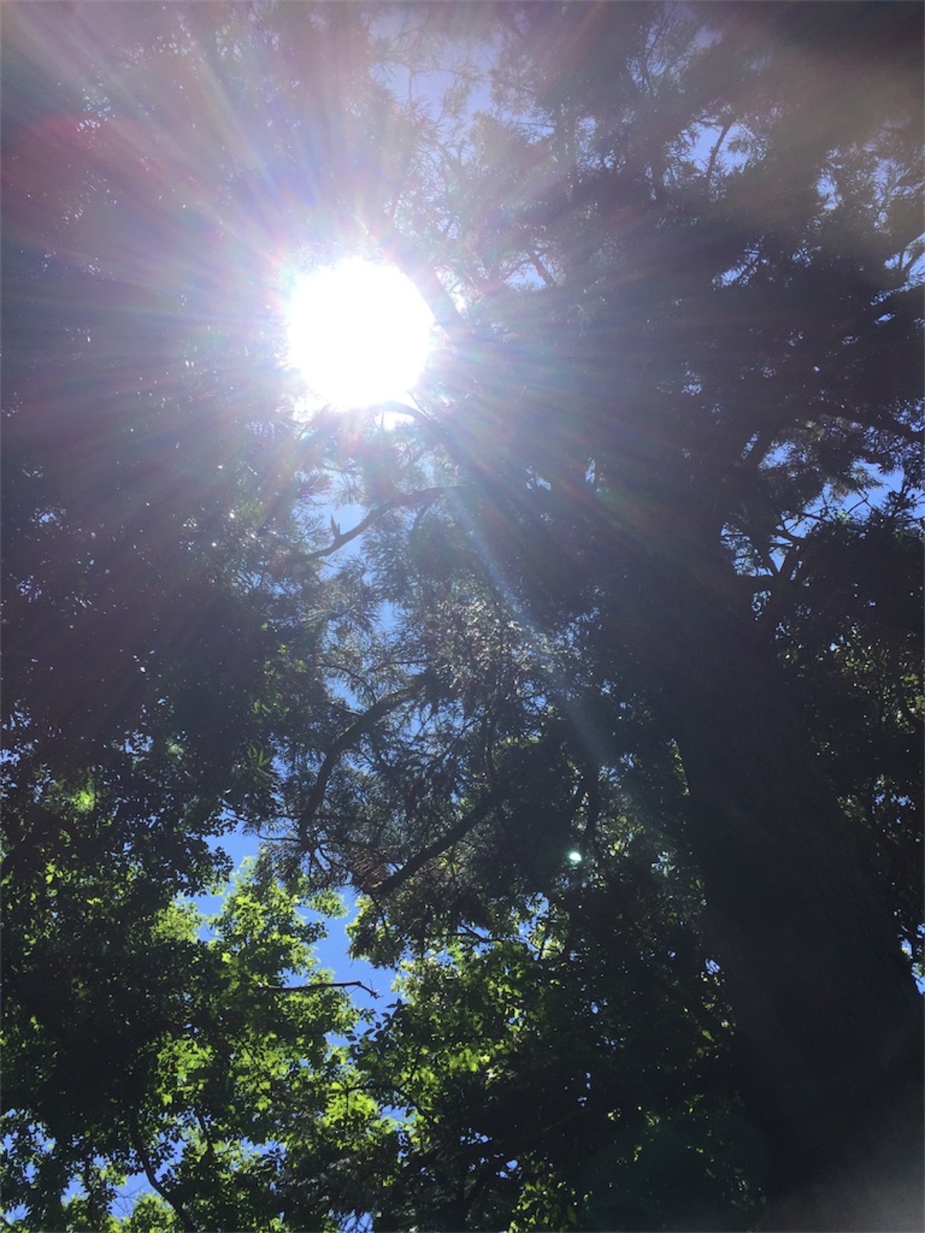 そのときという一瞬一瞬に合うタイミング、ズレるタイミング。どちらも間違いでも待ち害でもありませんが左右するのは - アカシックレコード・魂鑑定 ...