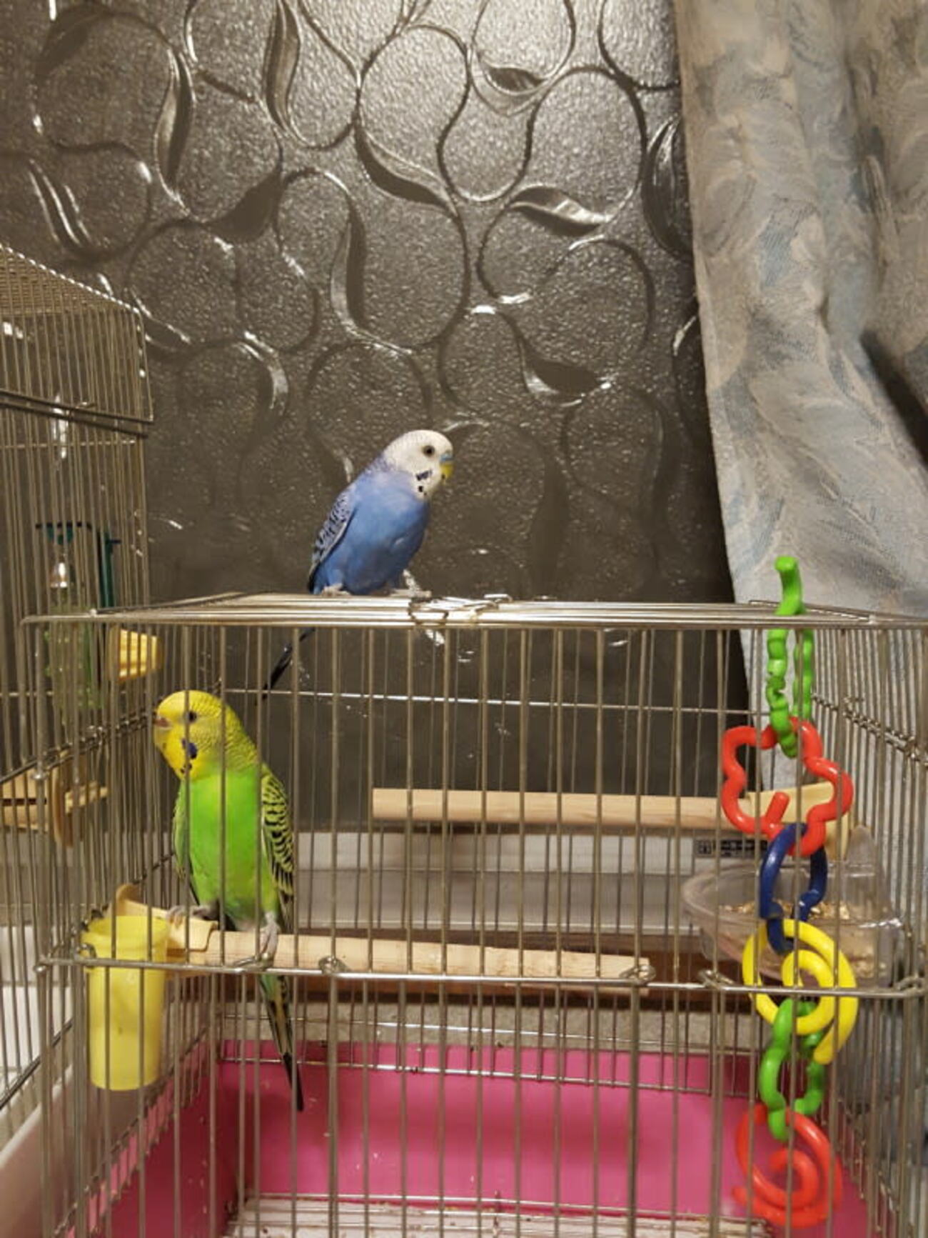 お気に入り - うさぎくん