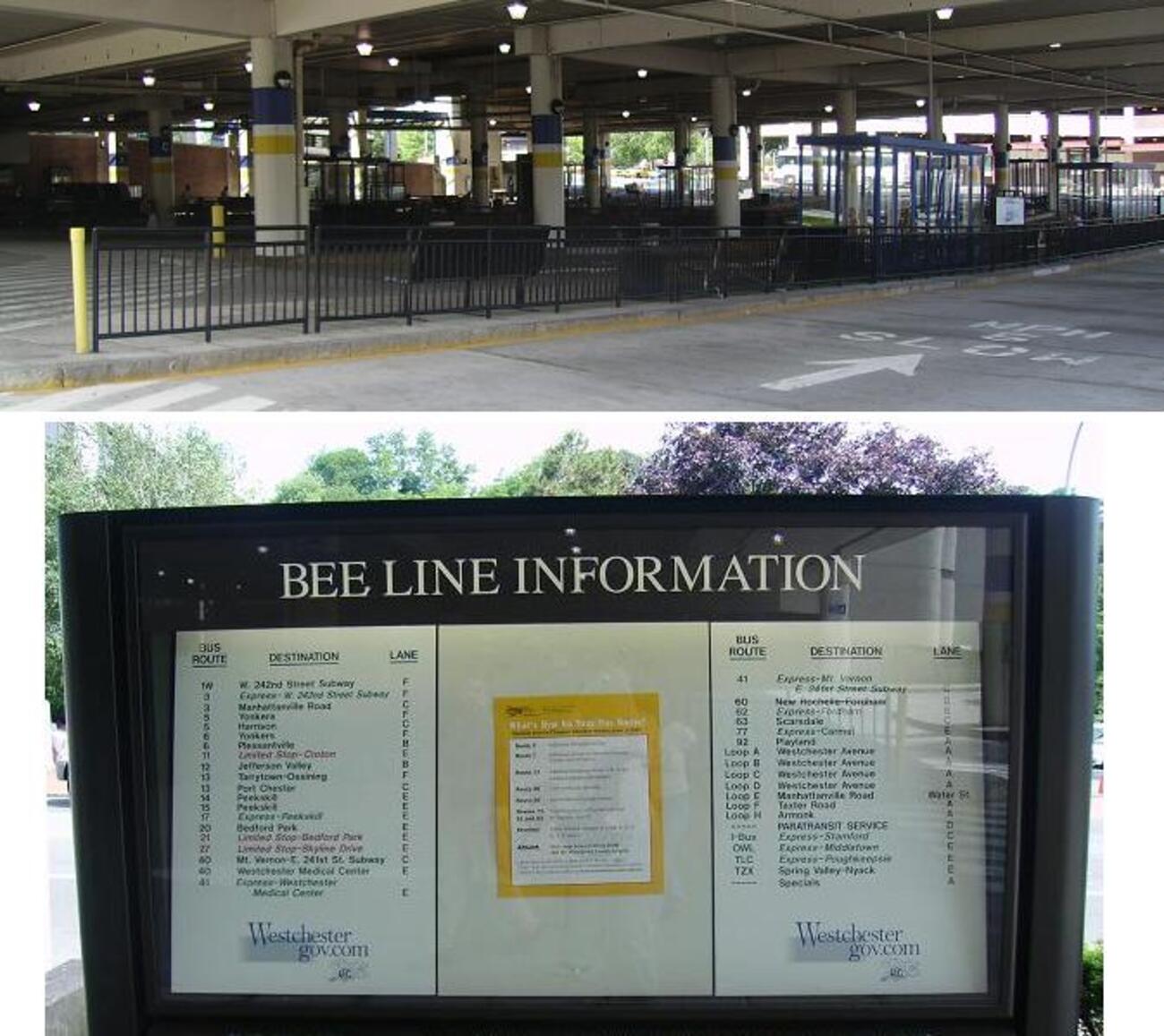 Bee-Line Bus 13番 Tarrytown - ola519’s diary