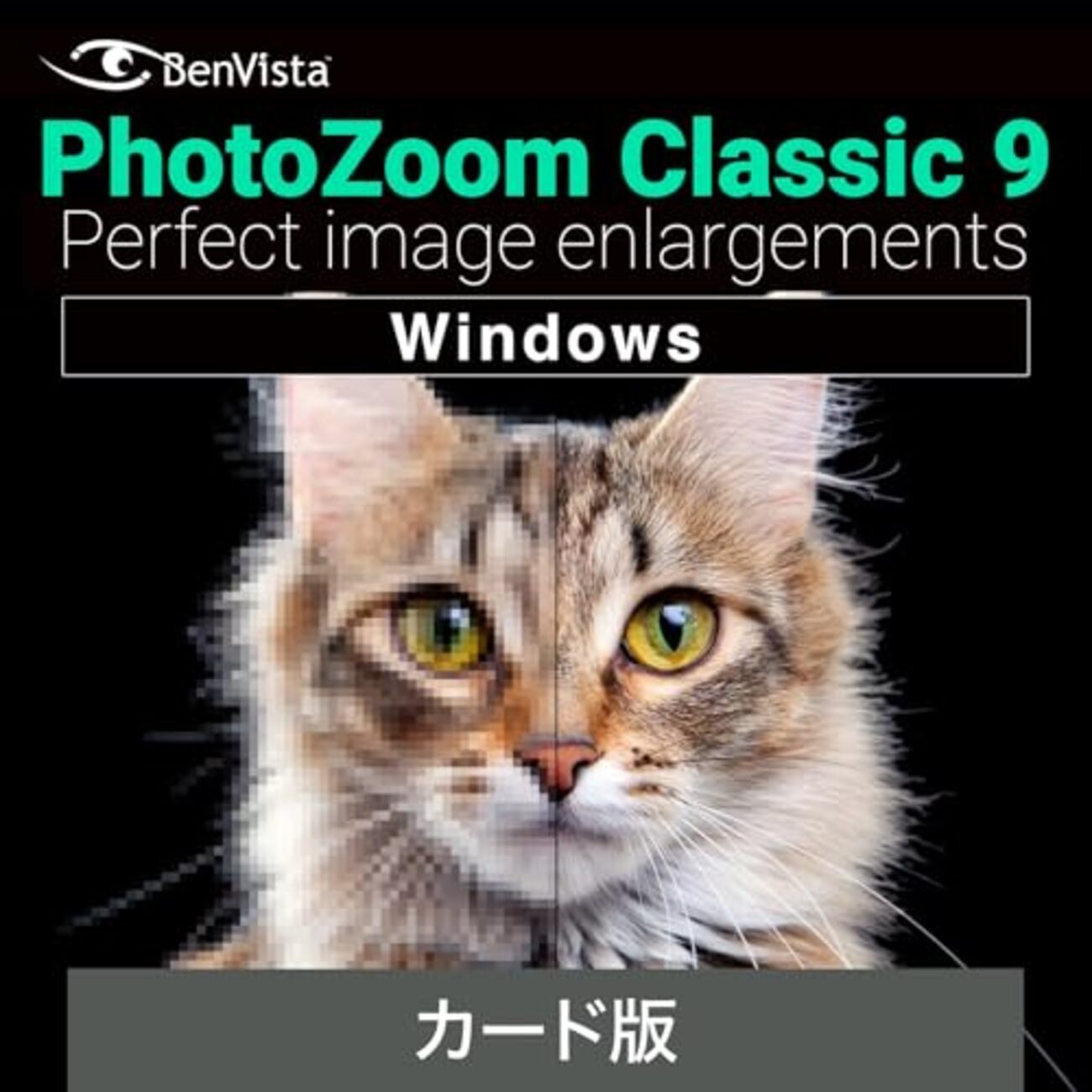 【体験談】PhotoZoom Classic 9レビュー：古写真が劇的進化！AI高画質化の実力とは？ - 窓メモ