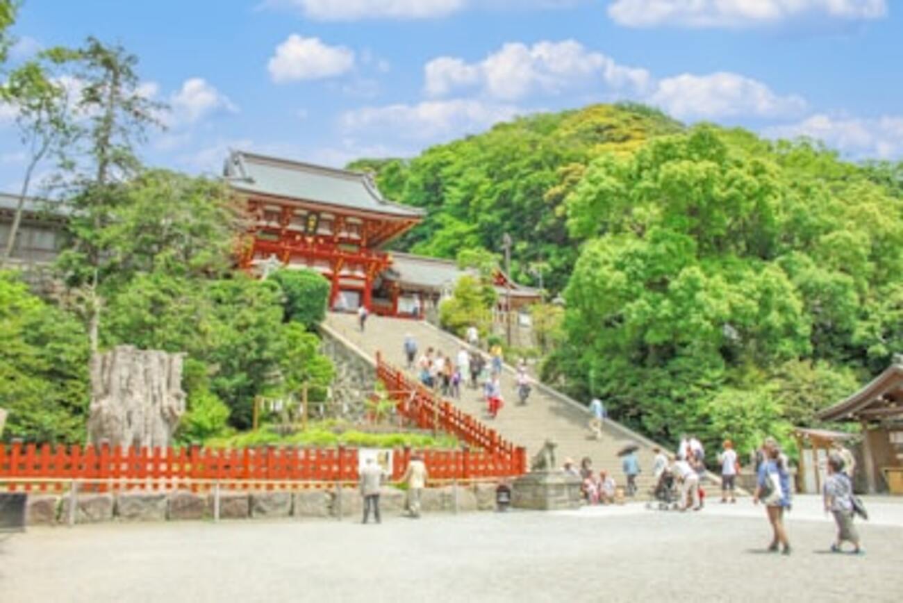 SBI SCHDの100万円一括投資！追加投資実施中！！【運用から10ヶ月経過】 - pukupukuのブログ