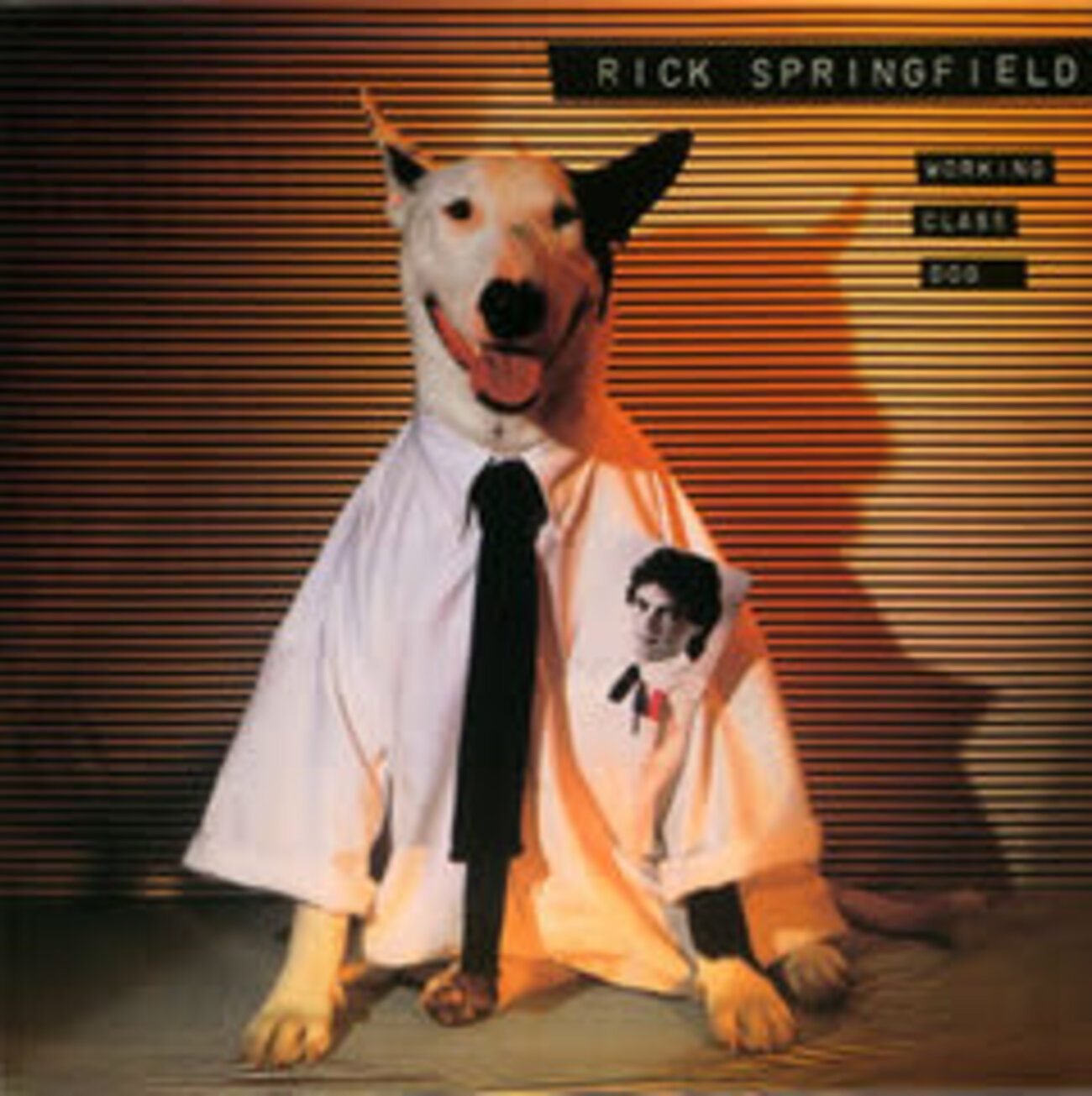 Working Class Dog / Rick Springfield - shiotch7の明日なき暴走