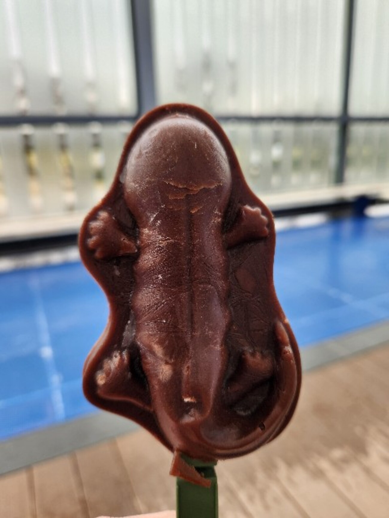 俳句シリーズ388 - Tabon-Rien’s blog