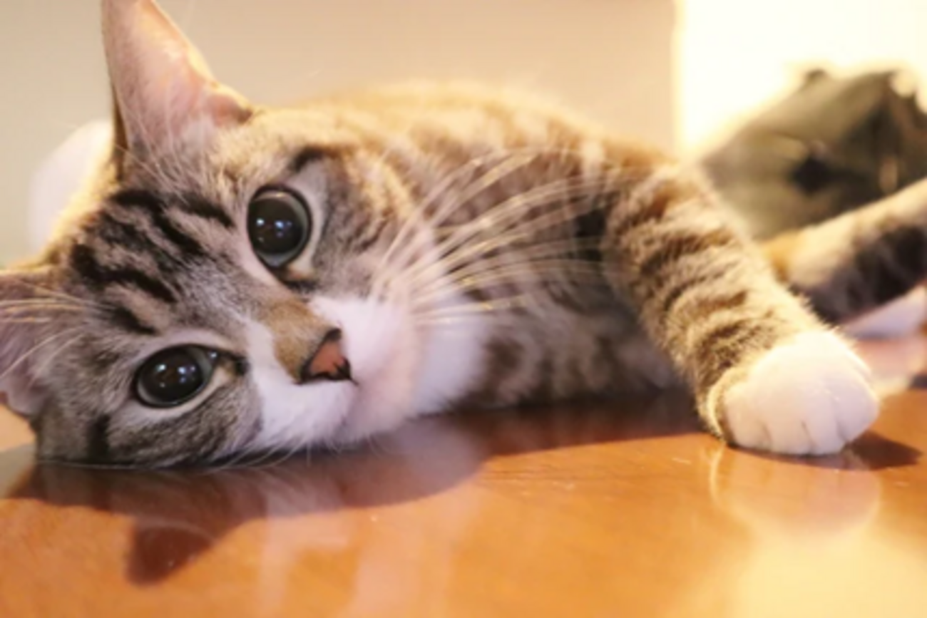 趣味のpythonプログラミング：RGB画像の3D表示(1) RgbDepth - Boyoyon’s blog