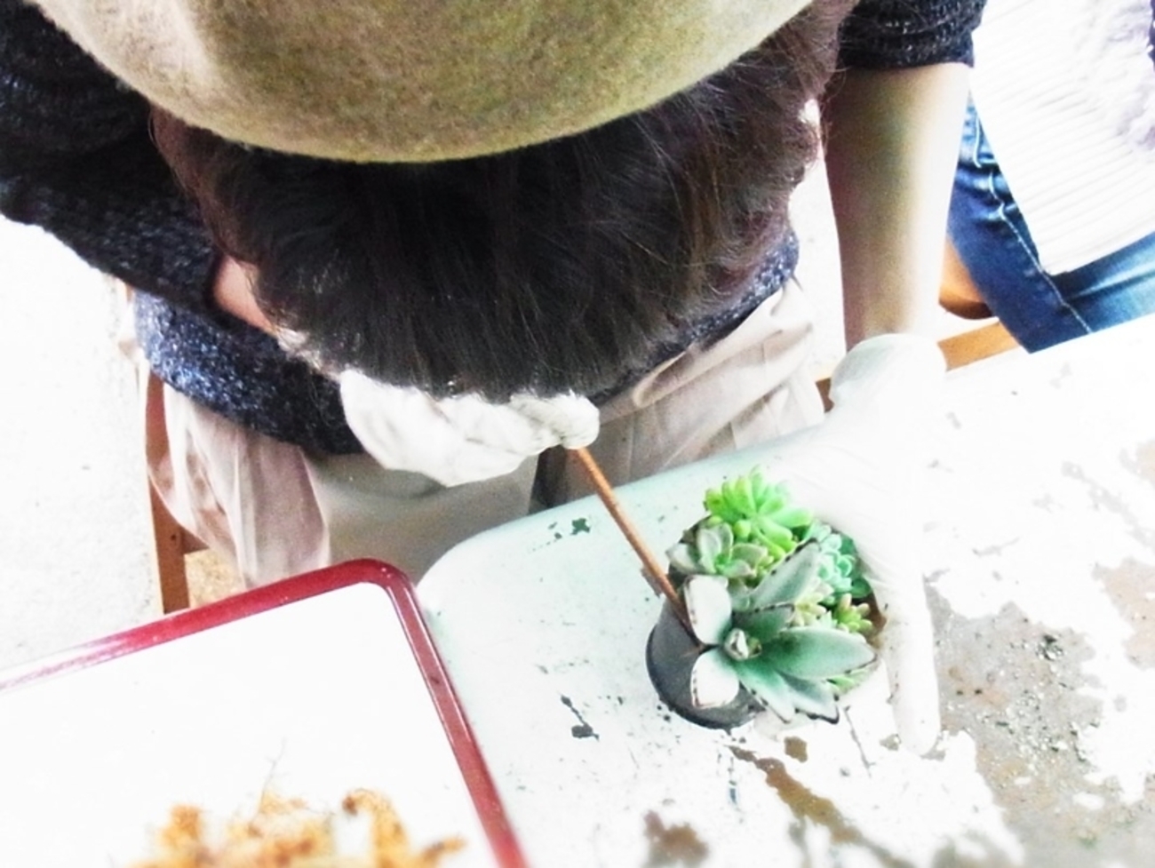 ご来店ありがとうございました - 花屋ふた葉 hanaya-futaba’s blog