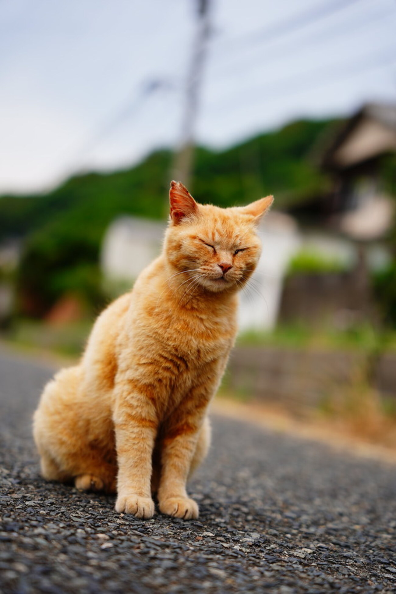 九州旅行⑯ - ampio's note