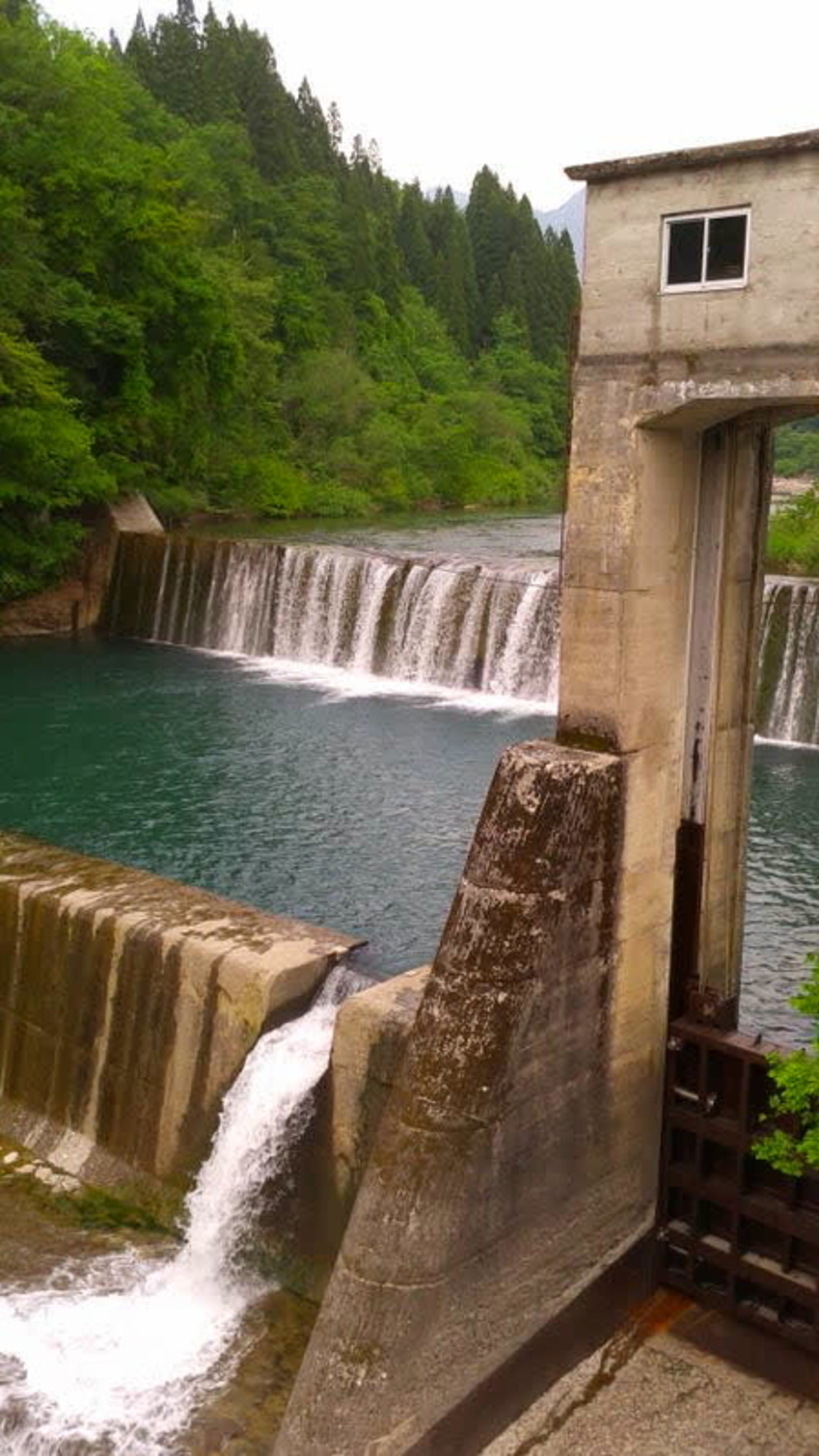 暑いですが・・泳いでもいいですか？ - kicmac-time