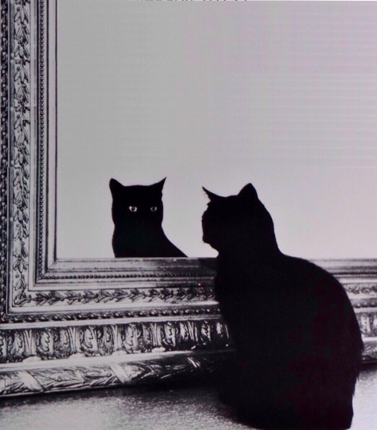 Black and white photography - 写真 / イラストほか