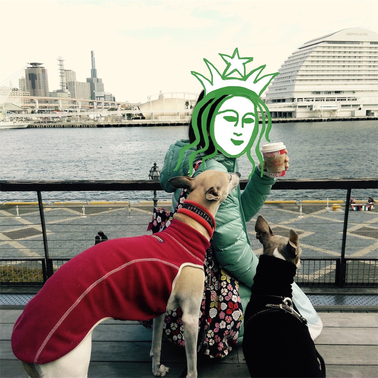 アメリカ - Joy & Jura with Whippet Floren