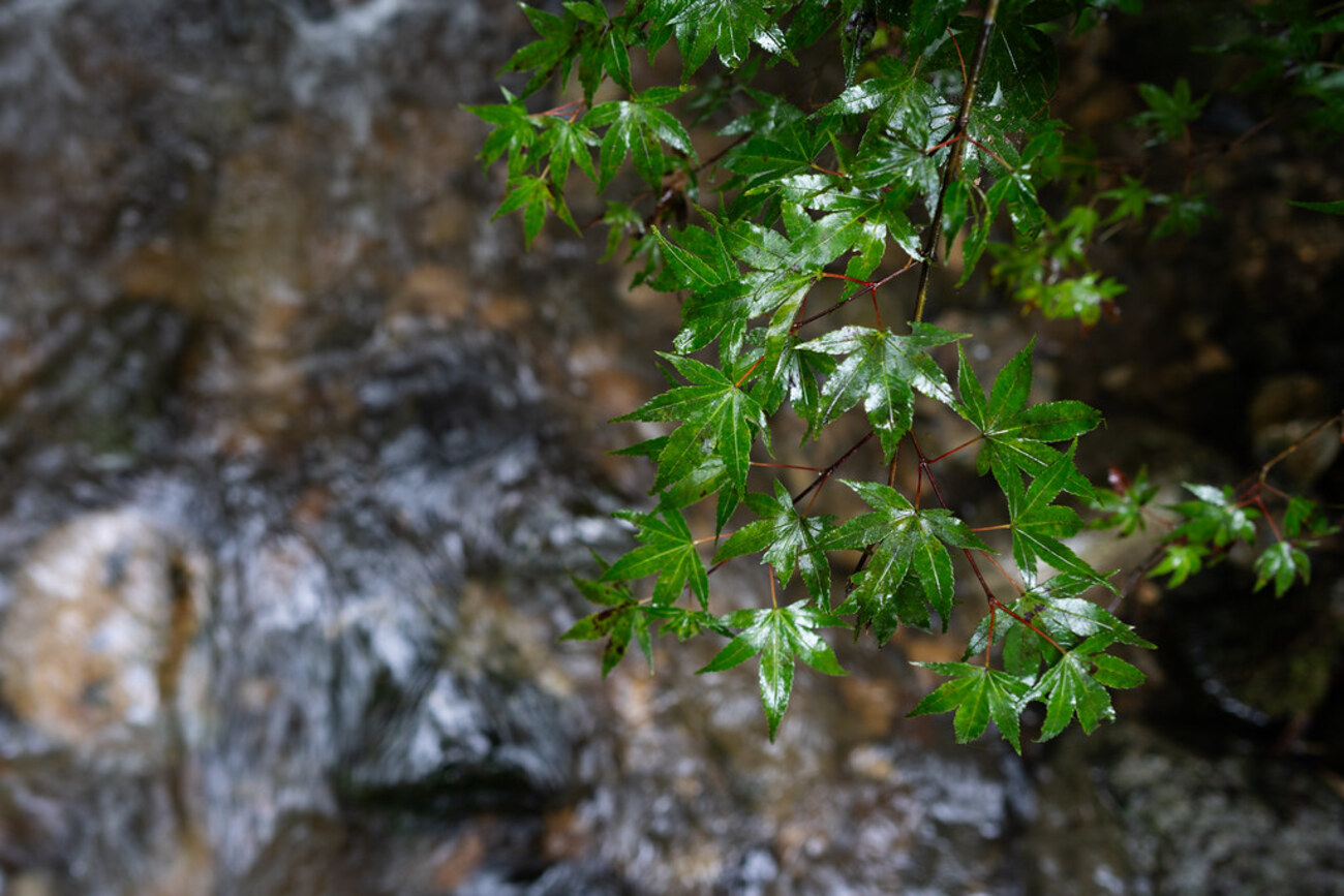 Nature snap #160 - An Ordinary Moment