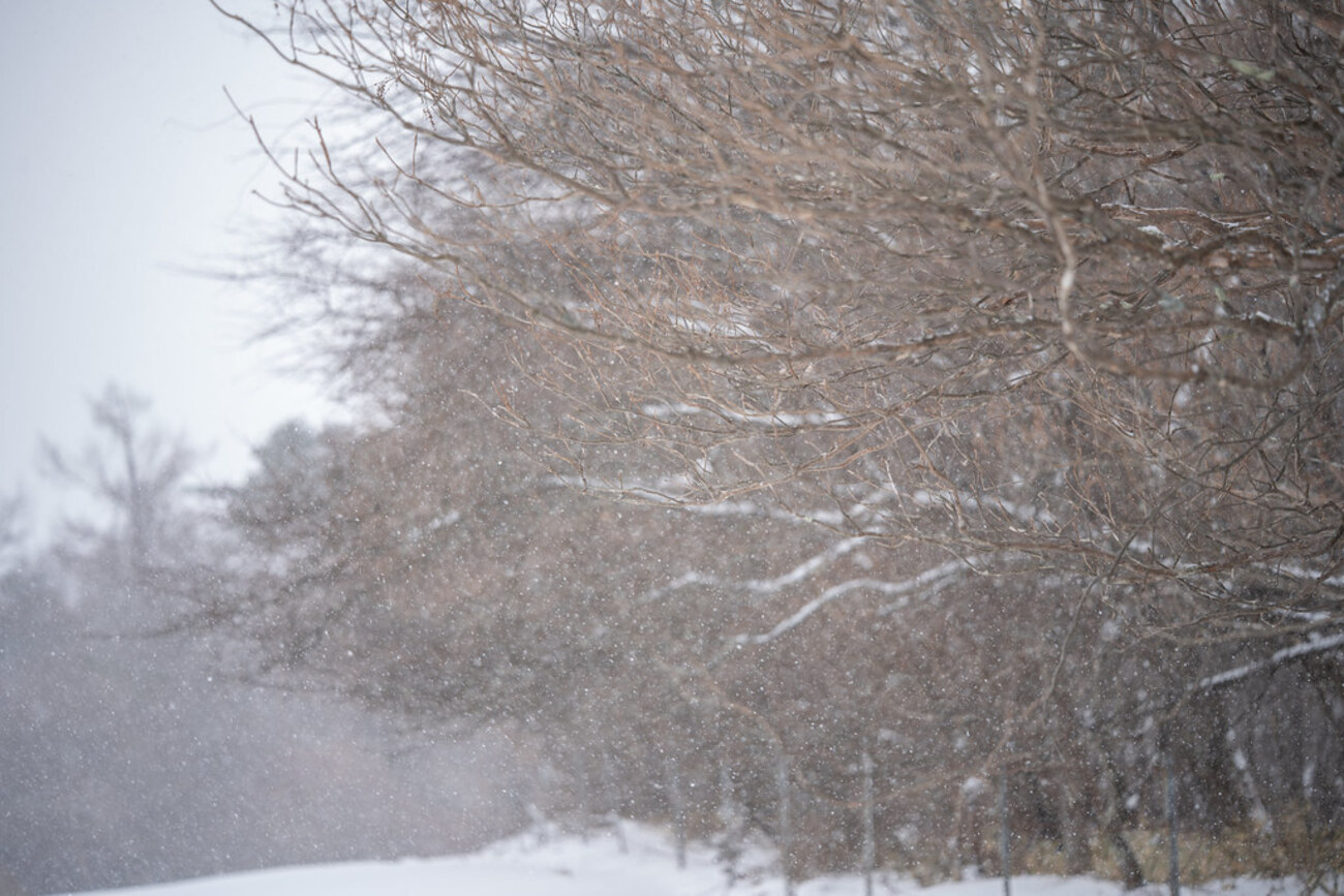 Nature snap #50 - An Ordinary Moment