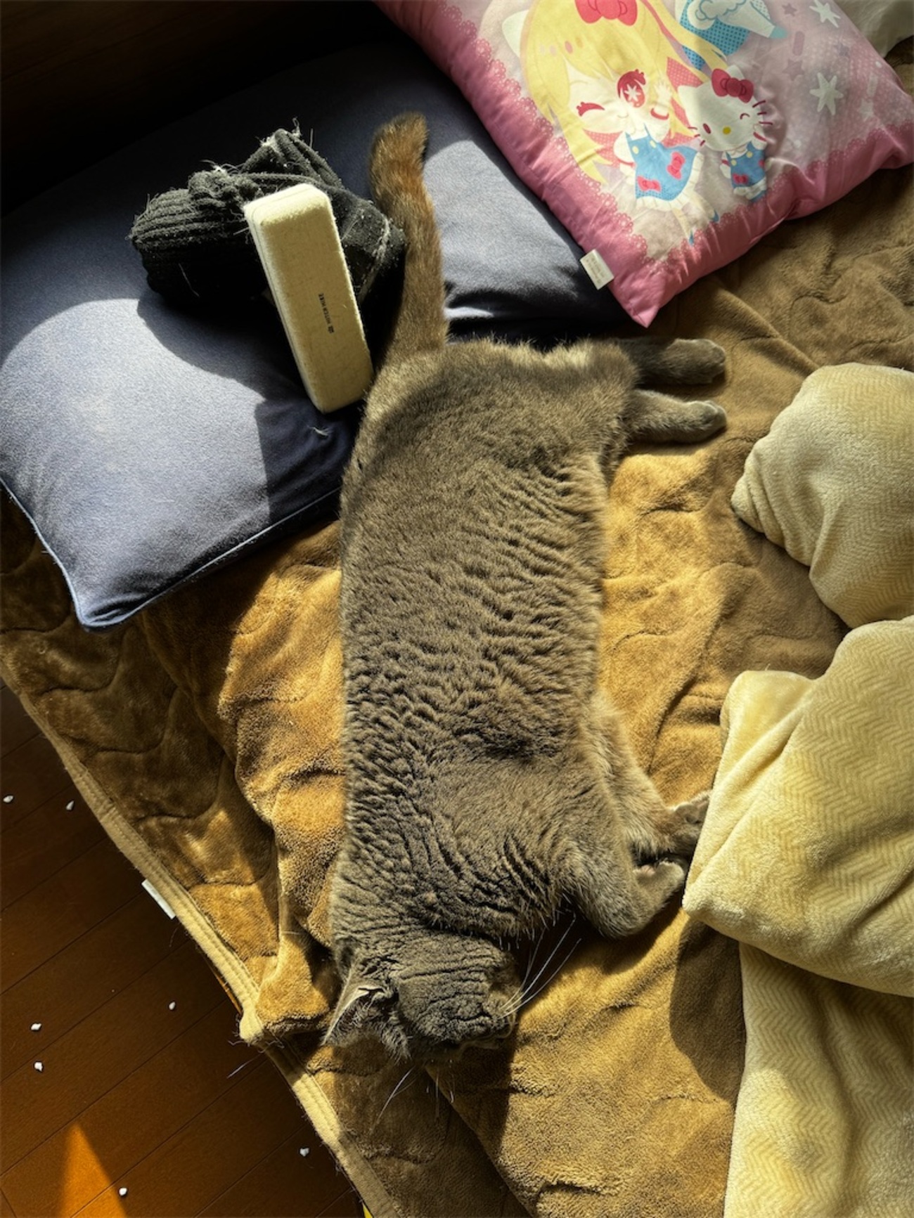 損保ジャパンの車両新価特約詐欺を回避しよう - kou_fukusuke’s blog