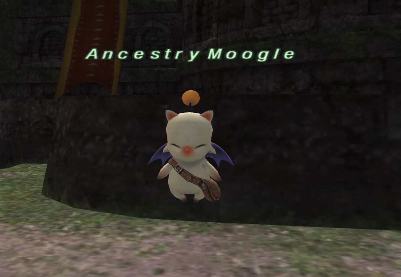 【FF11】キャラクター種族変更サービスを使ってみた！ - Mobilog