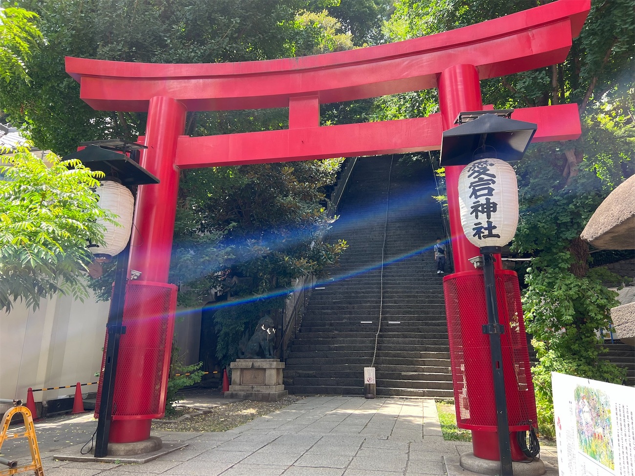 【ヒューマンデザイン】3-60「突然変異」と、久しぶりに内輪の話 - NO PLAN NOTE