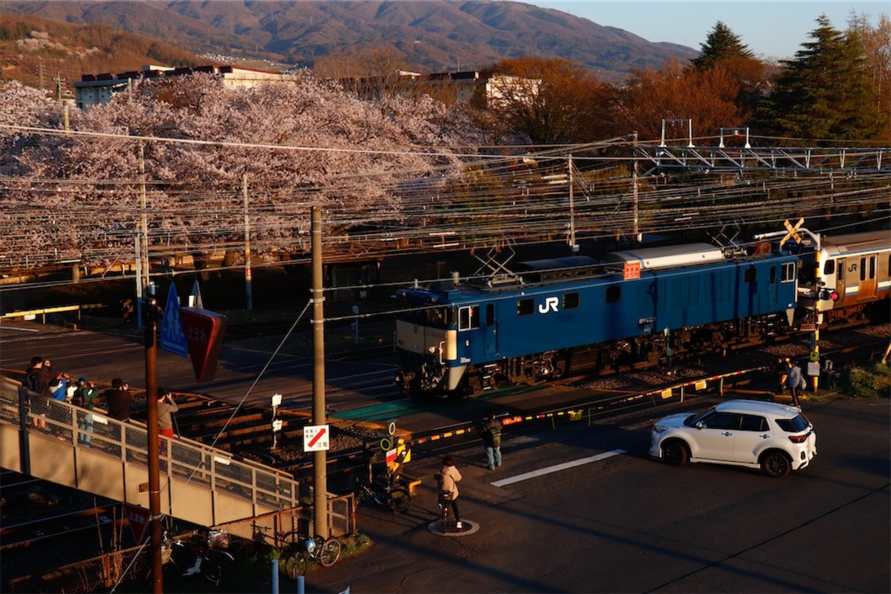 E217系Y-35編成 NN入場配給(廃車回送) - 特急上高地回遊81号