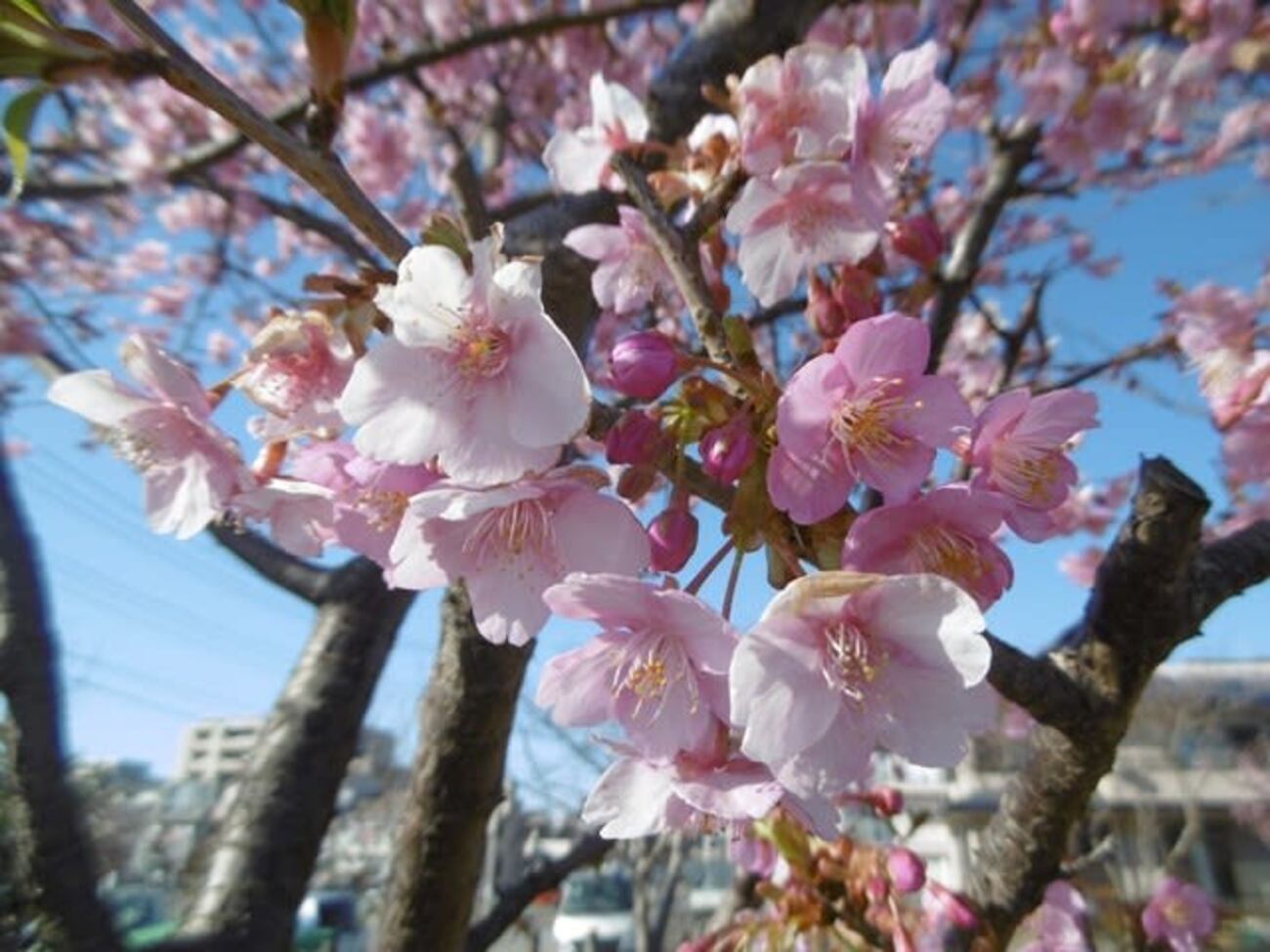 神戸、ポドルスキ獲得 - Kobby loves 埼玉＆レッズ