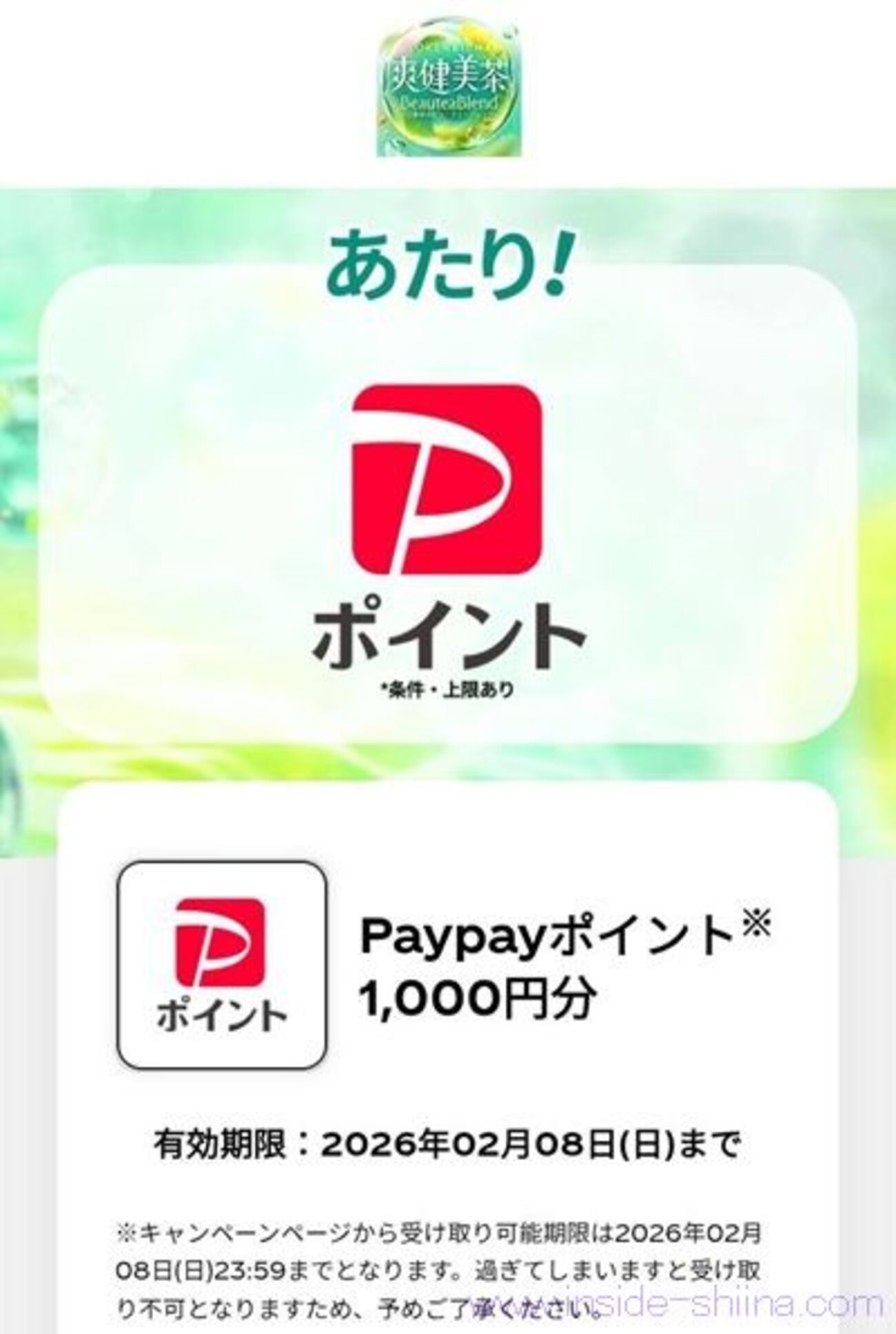 2025/12/21まで！爽健美茶を購入して応募するとPayPayポイント1000円分等が当たるかもキャンペーン！ - サイドバー シーナ