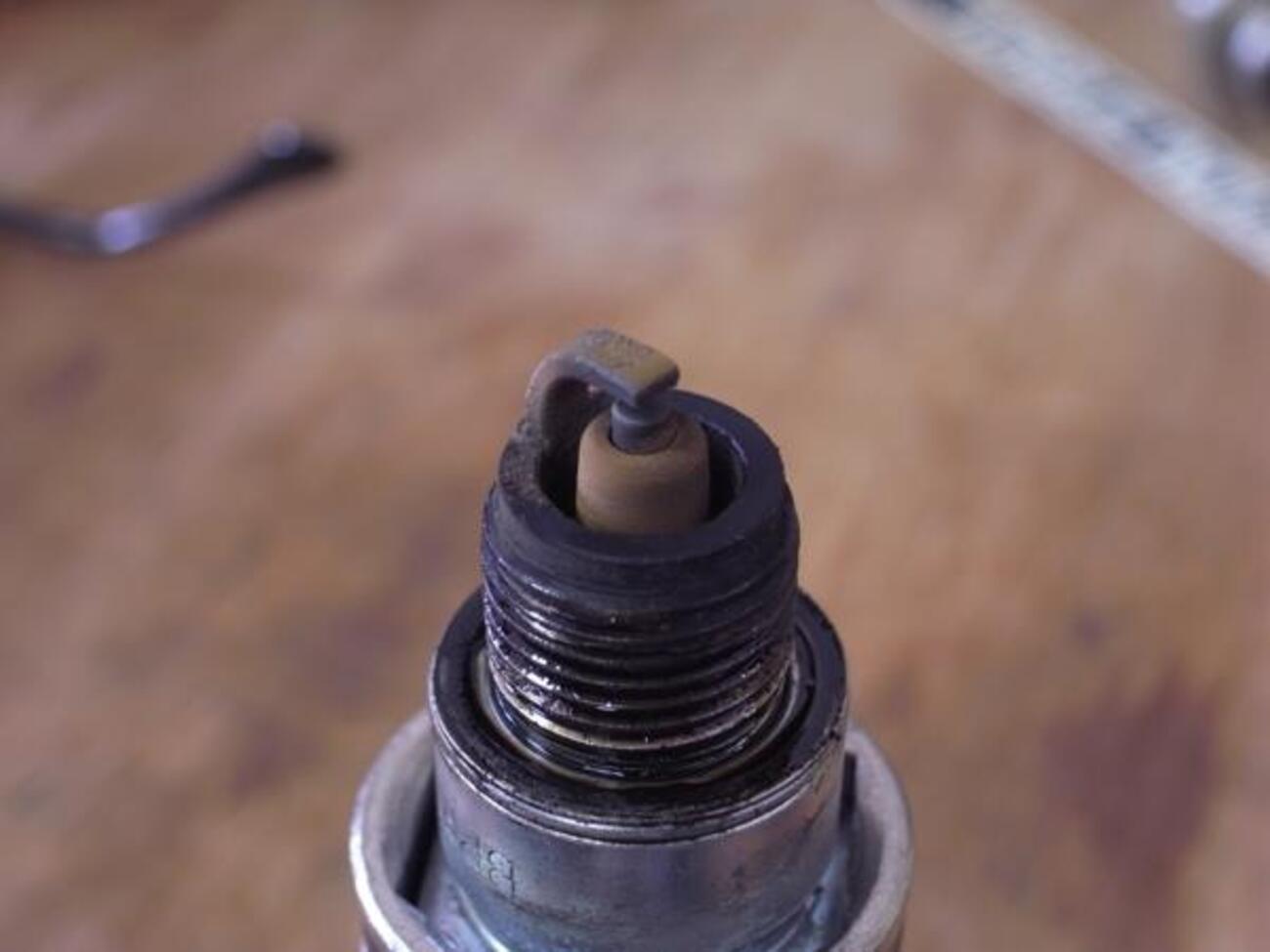 GR君と青ピィ君 - goroの徒然なるままに・・・2nd.