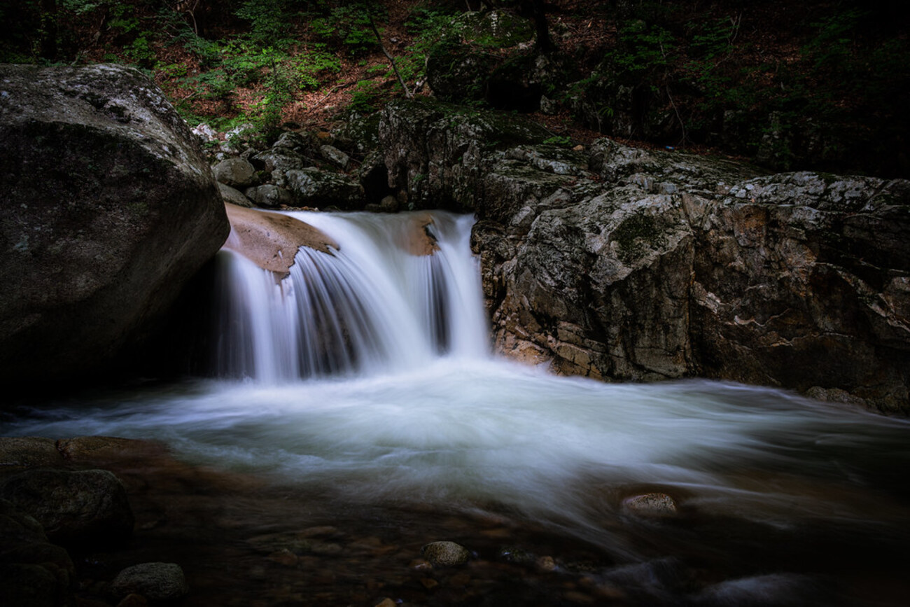 Nature snap #63 - An Ordinary Moment