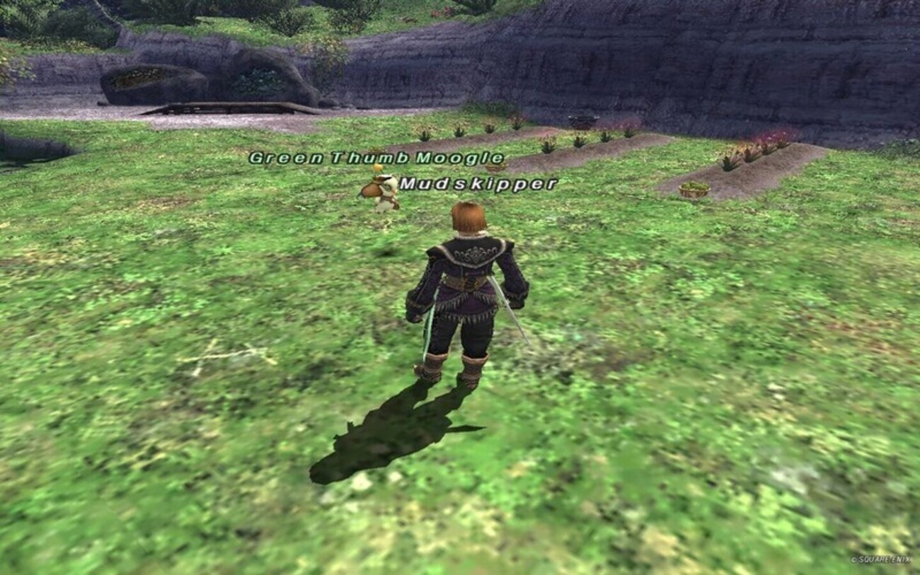 FF11 課金復活 ユニティ移籍 - 日々常々悪戦苦闘 本に模型にゲームにいろいろと