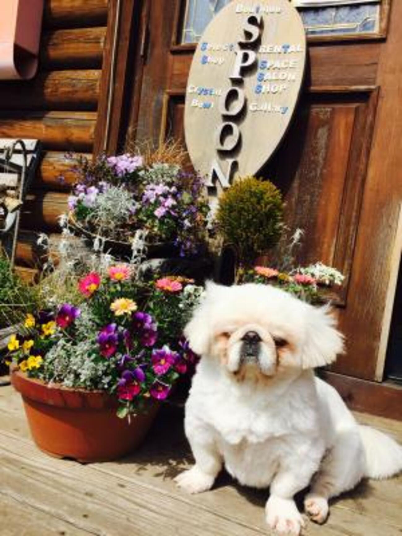 4月のspoonレンタルスペースイベントスケジュールです♡ - お洋服&コミュニティハウスspoonstyle’s☆mika diary