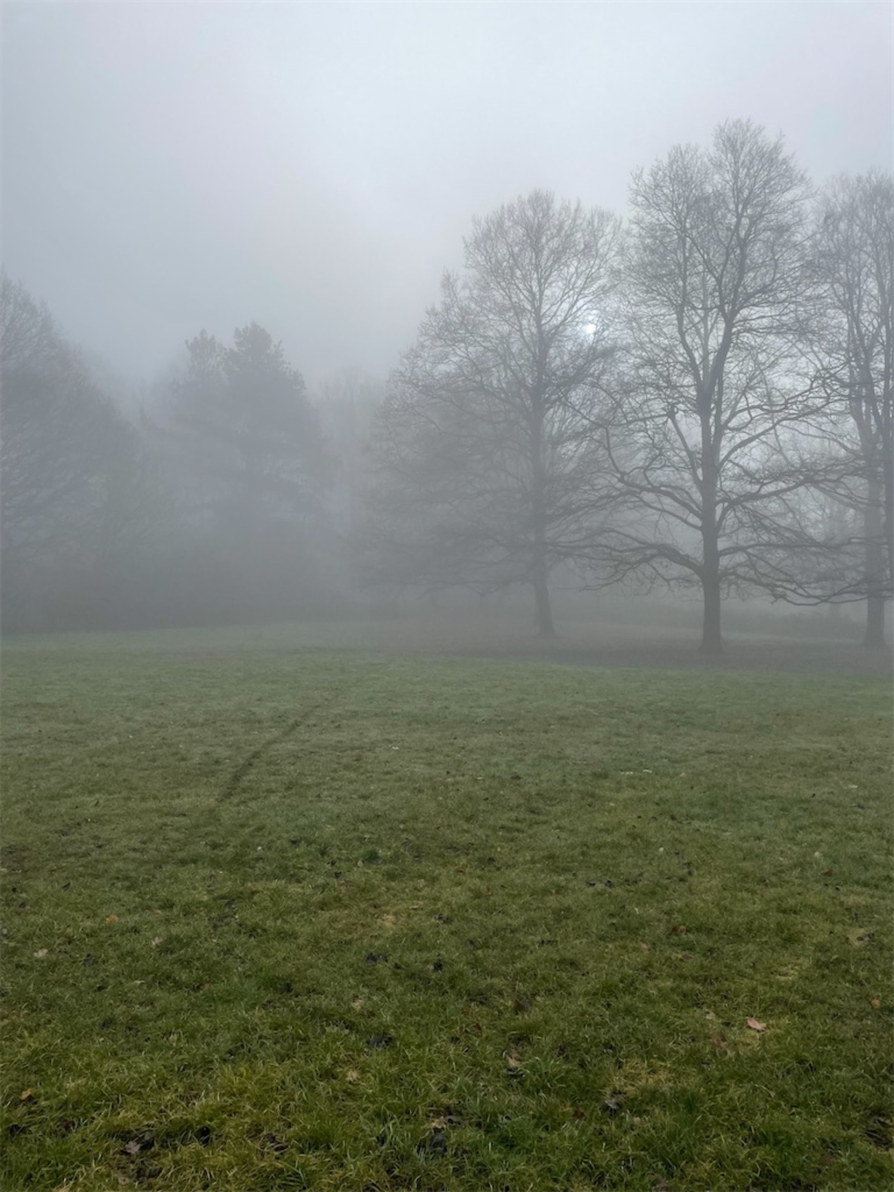 霧に包まれたMoat Mount Open Space - 2度目のイギリス生活