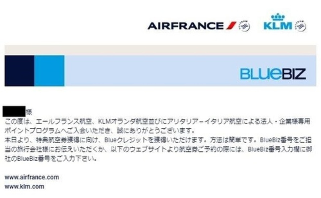 AIR FRANCE BLUEBIZ - fclife.tokyo