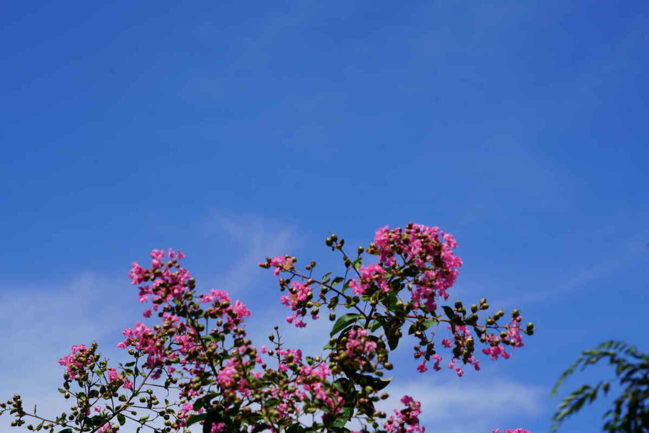10月からの値上げ対策、節約の専門家が解説、私は多々教示されて - 夢逢人かりそめ草紙