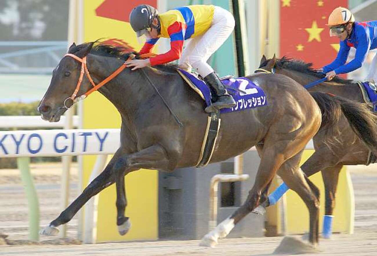 真冬のインプレッション - 競馬茶論 〜サロン・ド・ケイバ〜