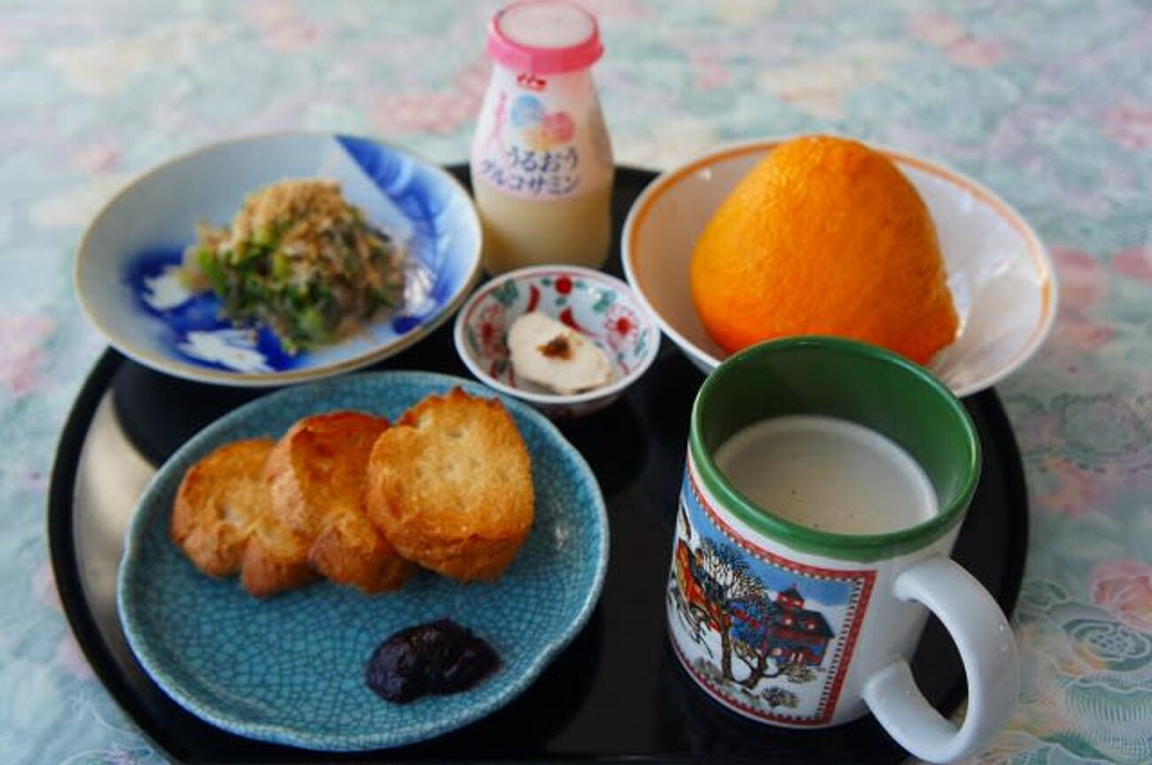 ダイエット食・1月22日（金） - hiroの花便り part2