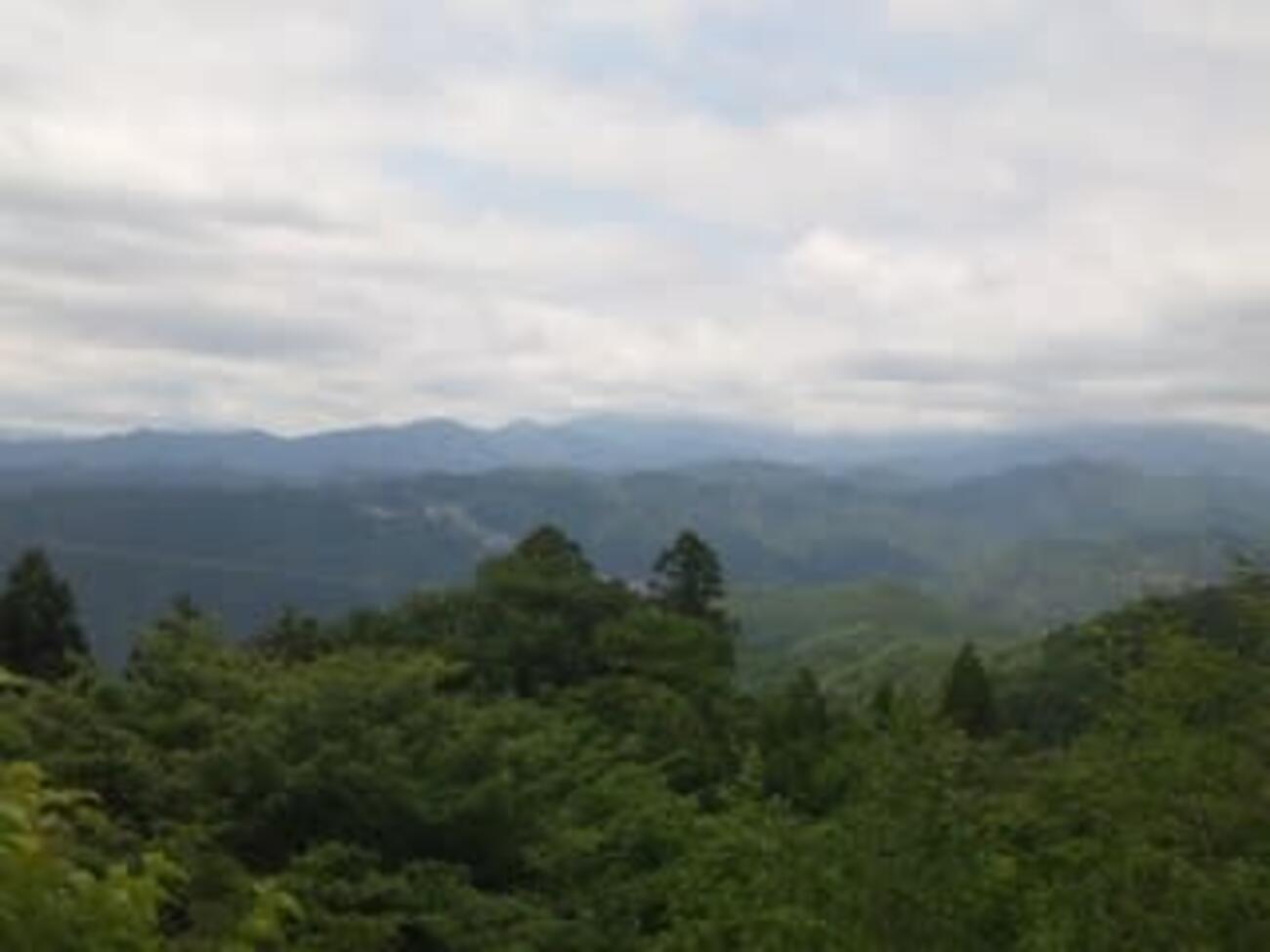 久しぶりの峠走27km - 小杉行政書士事務所 小杉 幹のブログ