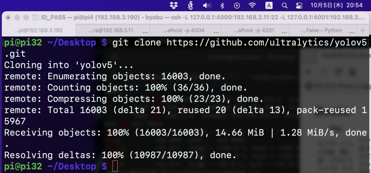 RaspberryPi3 + yolo 5 物体検知（Python3.7.3 → 3.9.18へアップデートも）→ numpyでエラー格闘 → OSをbusterからbullseyeへ ...