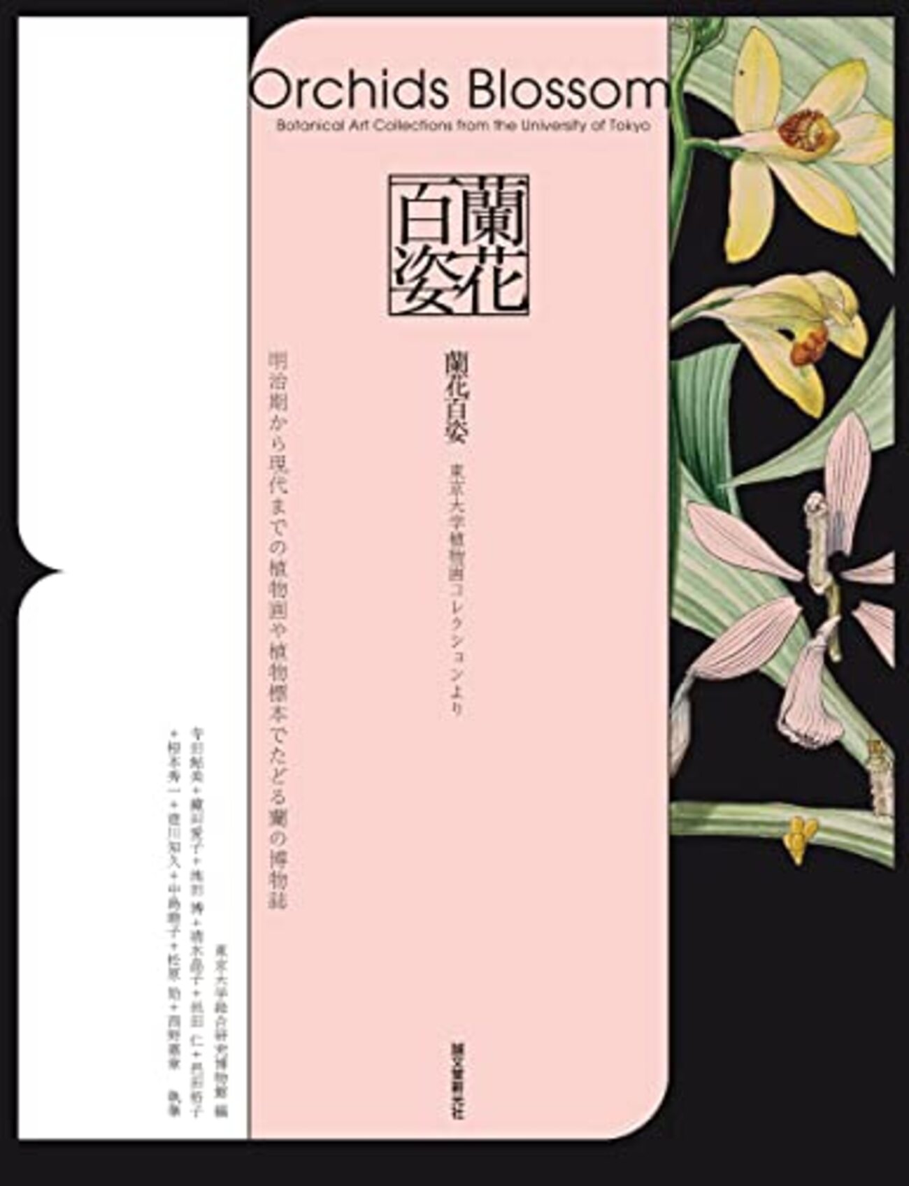 「蘭花百姿 東京大学植物画コレクションより」が書籍化 - mojiru【もじをもじる】