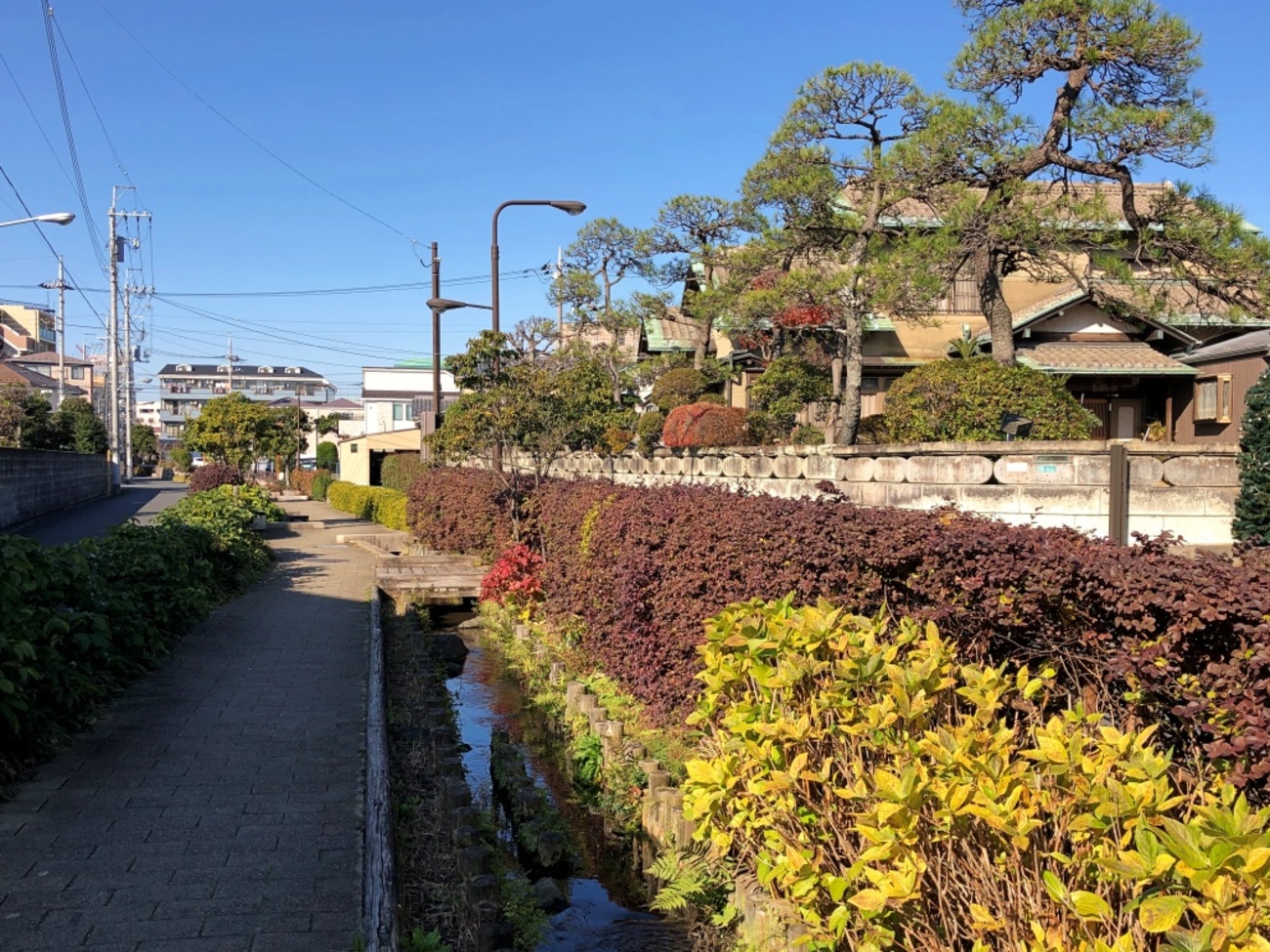 東井堀跡を歩く 旧江戸川から葛飾高砂へさかのぼる - 散歩の途中