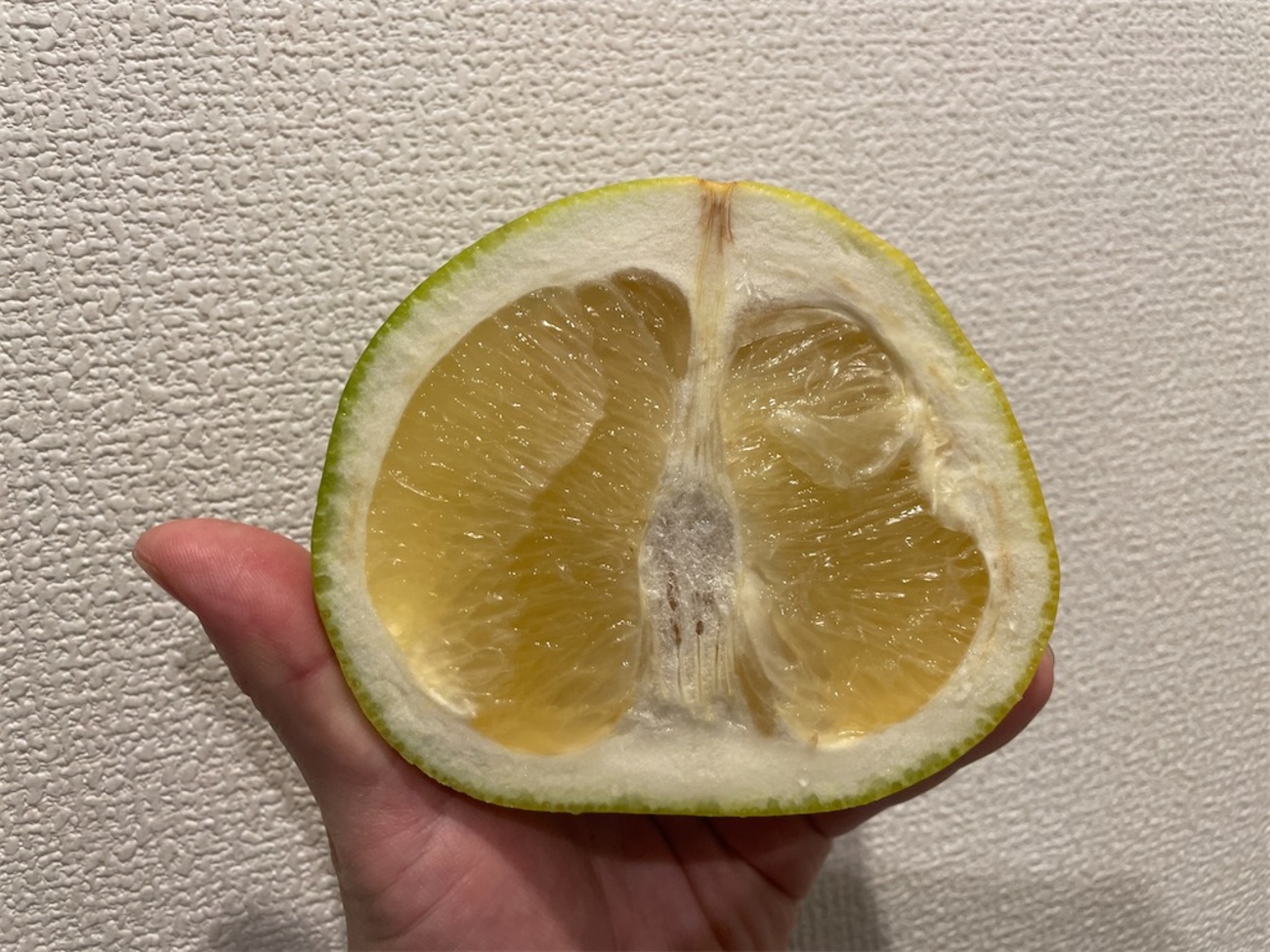 変わった名前の、変わった形の果物食してみた - 思考酒後