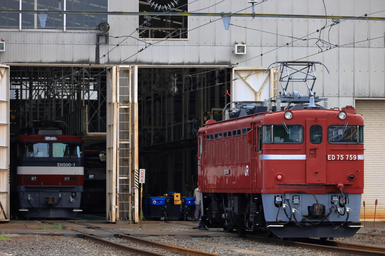 仙台総合鉄道部に到着した、ED75 759を撮る！(JR貨物「仙台機関区」復活撮影会関連) - 続 うっかり鉄の鉄道風景写真撮影記