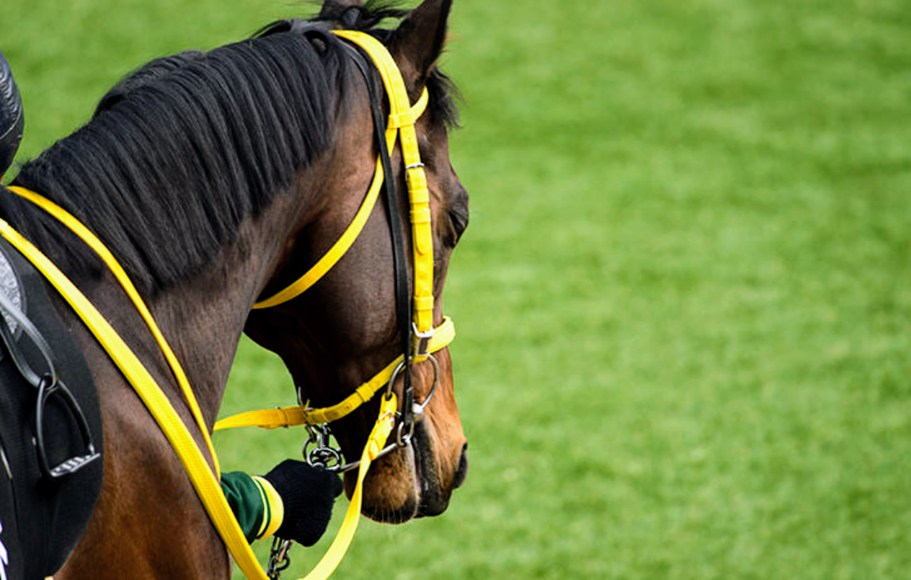 2022.7.24(日)今日のJRA的中レース - JRA攻略㊙メモ