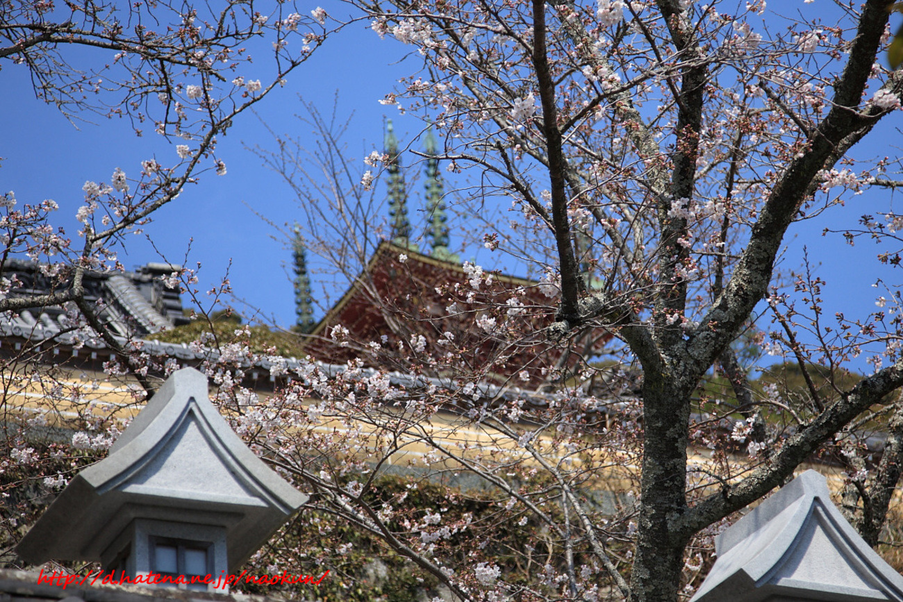 ちょっと早かった - naokun’s diary