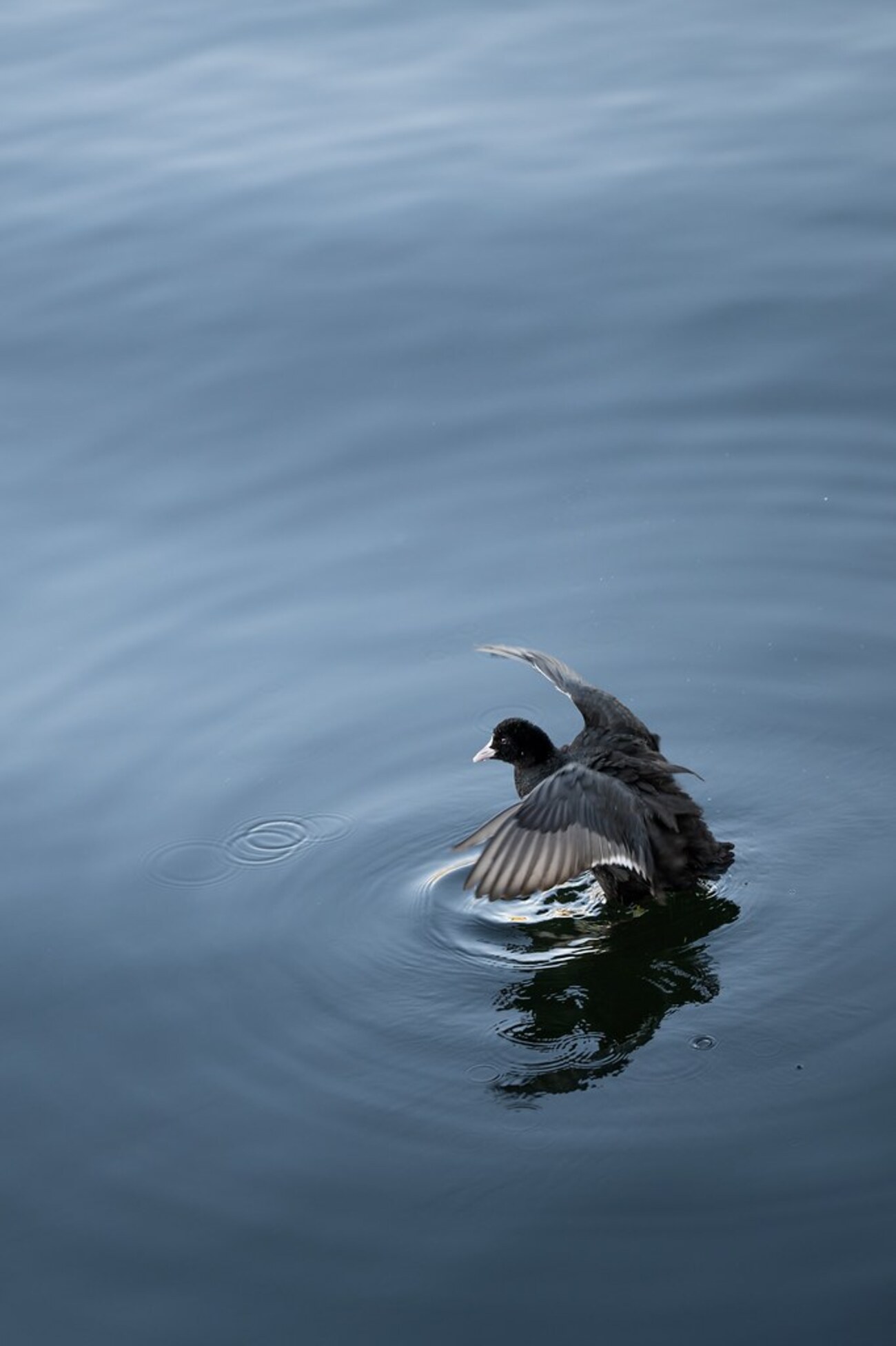 Nature snap #57 - An Ordinary Moment
