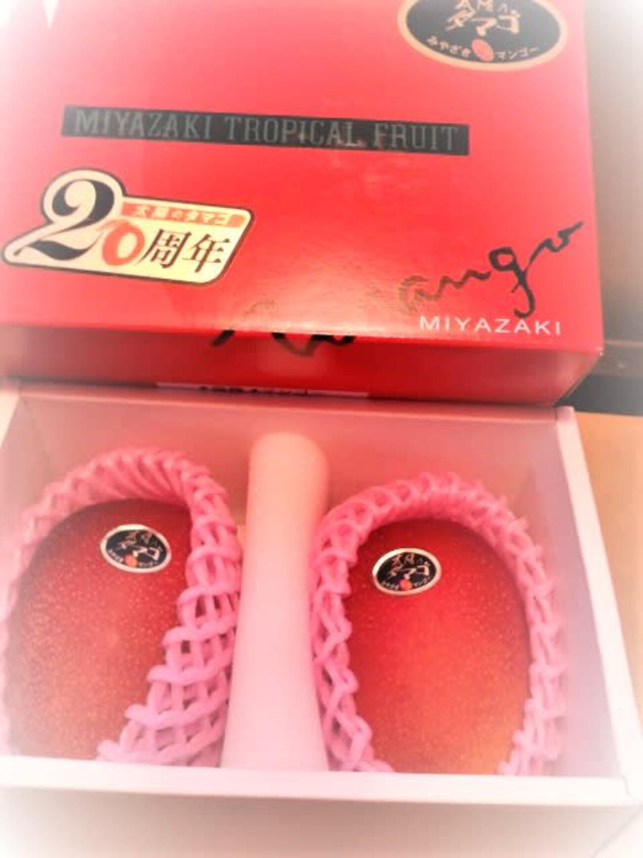 太陽のタマゴ - kicmac-time