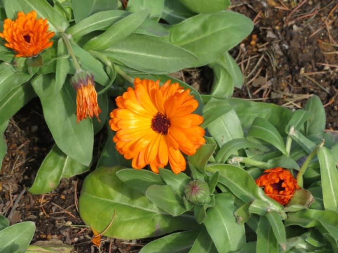 ショートトラック - Kobby loves 埼玉＆レッズ