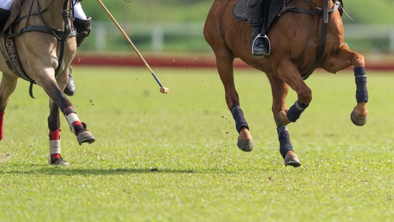 Netflix『Polo』はなぜ酷評されている？─日本では話題にならない“貴族のスポーツ”ドキュメンタリー - UMANICLE | 馬のクロニクル