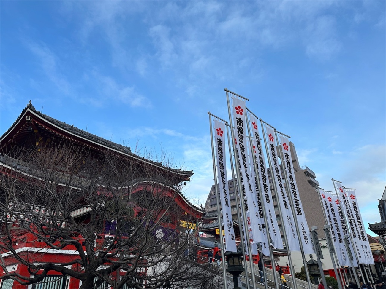 2026年1月のこと その1 - 僕のこと