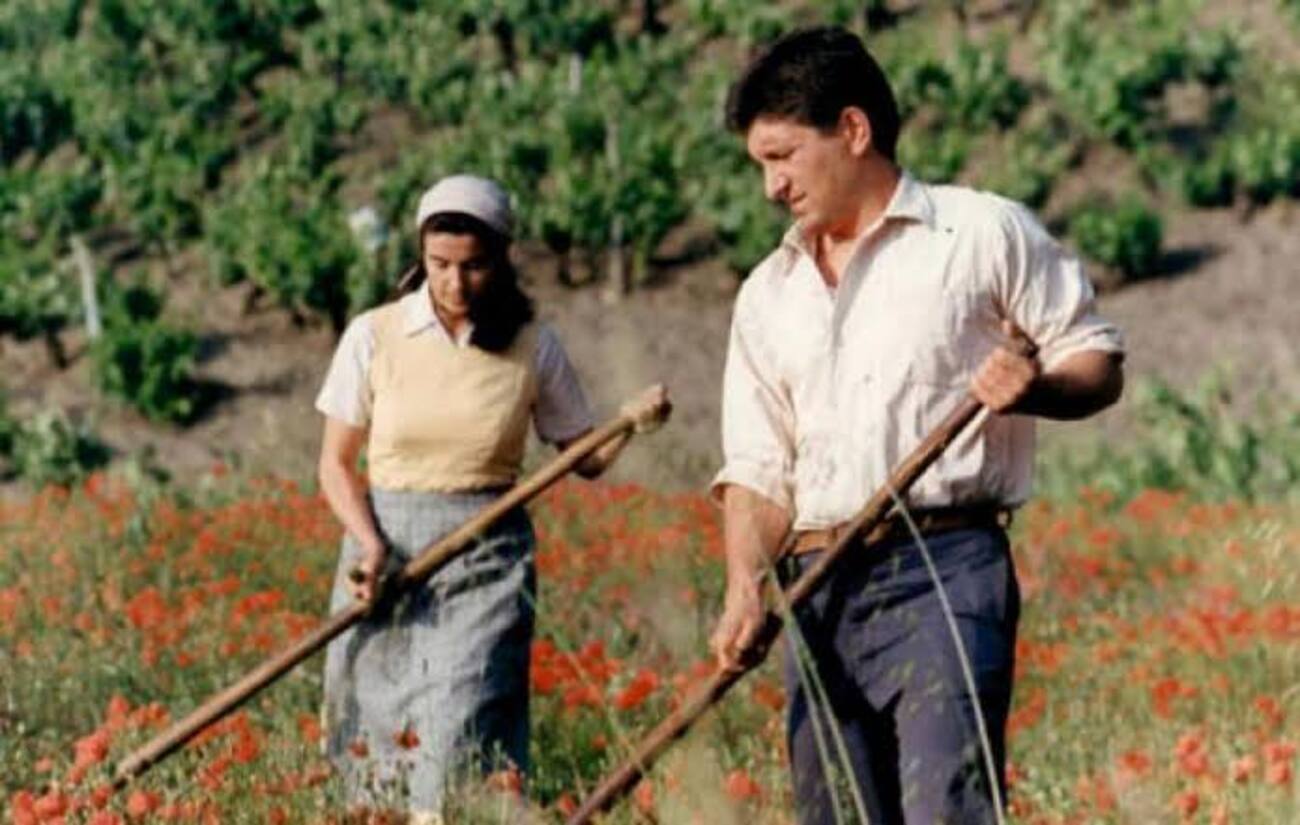 Chano Piñeiro&“Sempre Xonxa”/ガリシア、去るものと残されるもの - 鉄腸野郎Z-SQUAD!!!!!