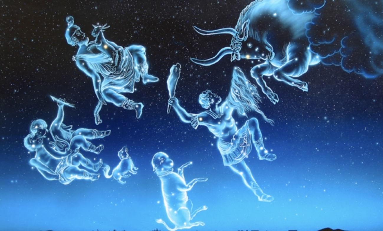 星座の記憶 - 犀のように歩め