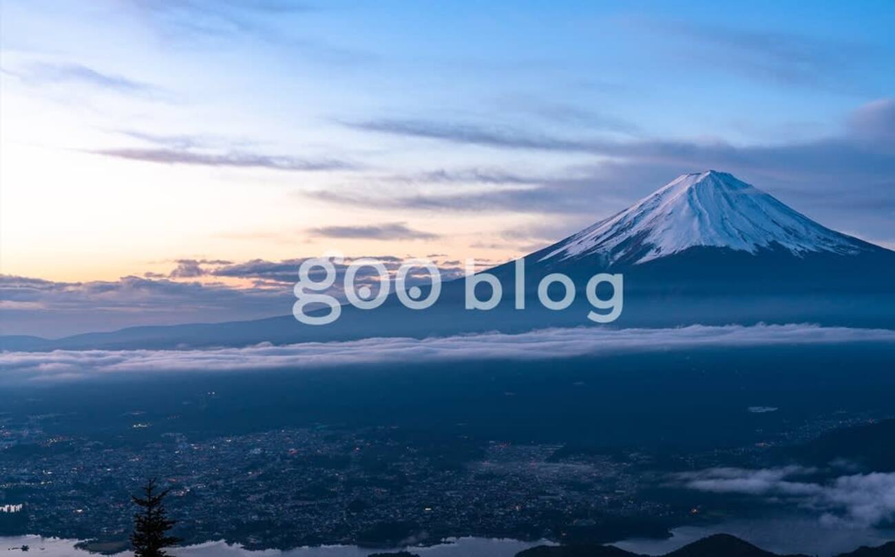 今日は大忙しでした。藍 - kyoko-ky211のブログ