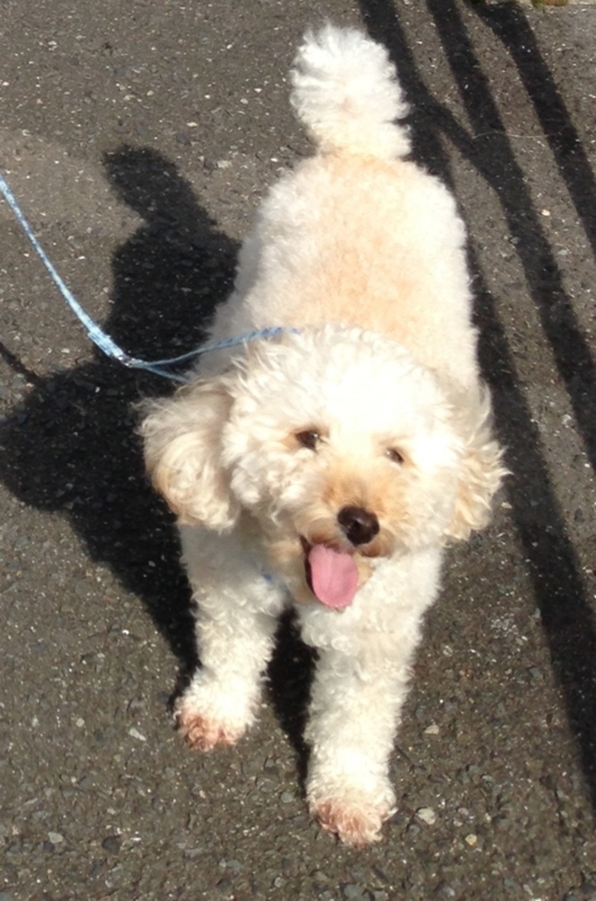 ビフォー - sotarのブログ