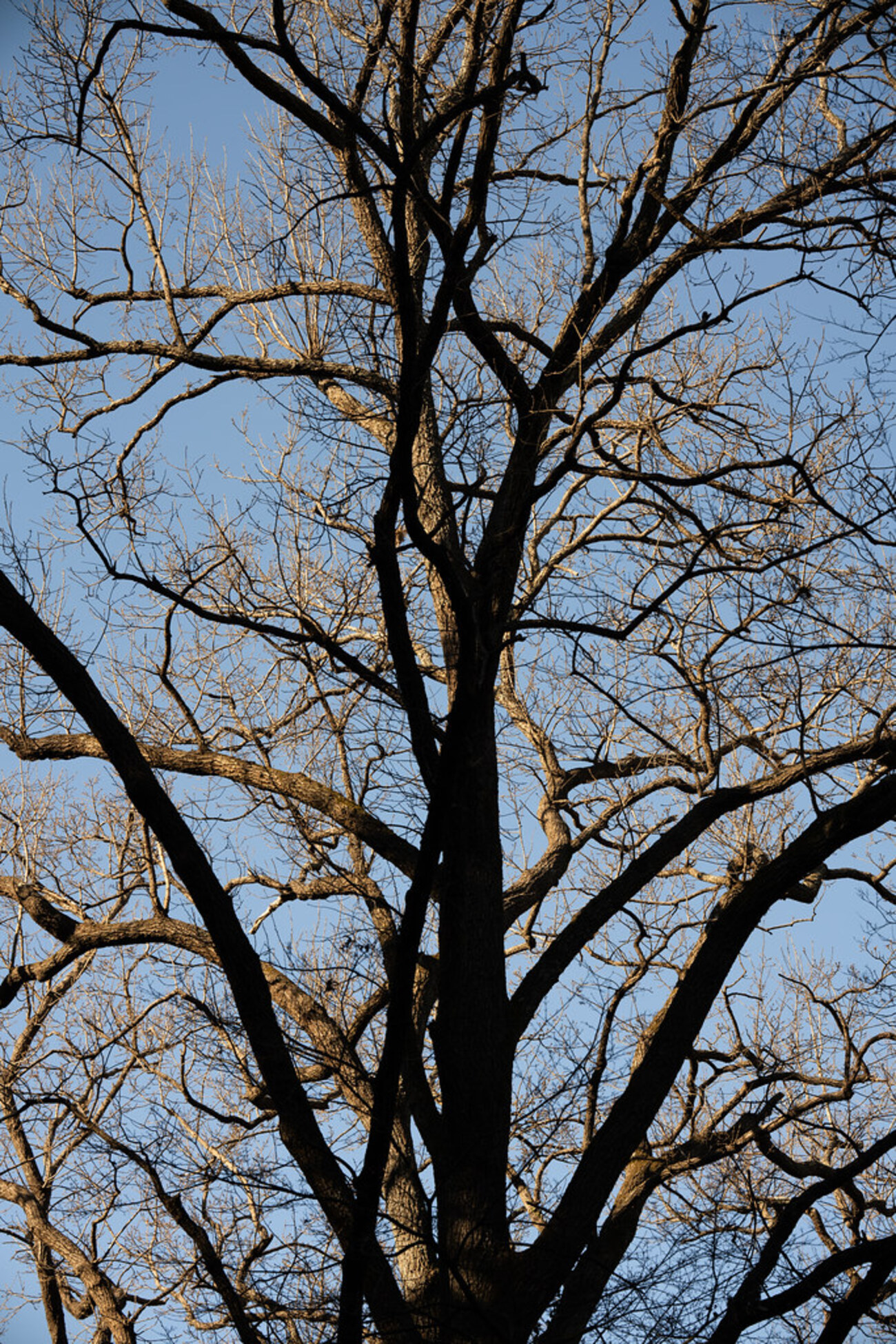 Nature snap #25 - An Ordinary Moment