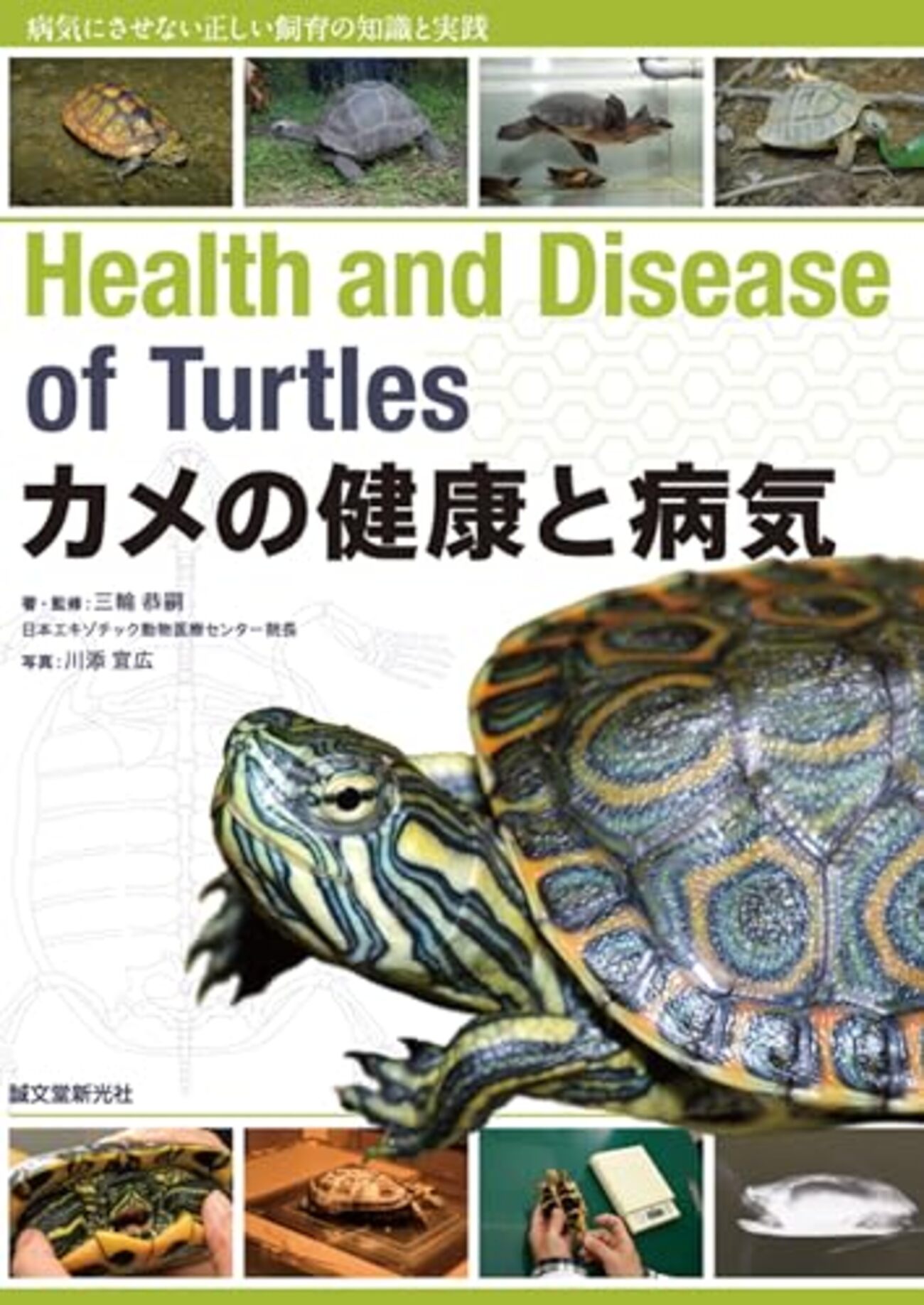カメを病気にさせないために必要な病気の症状・予防・治療、飼育の知識を多くの写真とイラストを用い解説した書籍 - mojiru【もじをもじる】