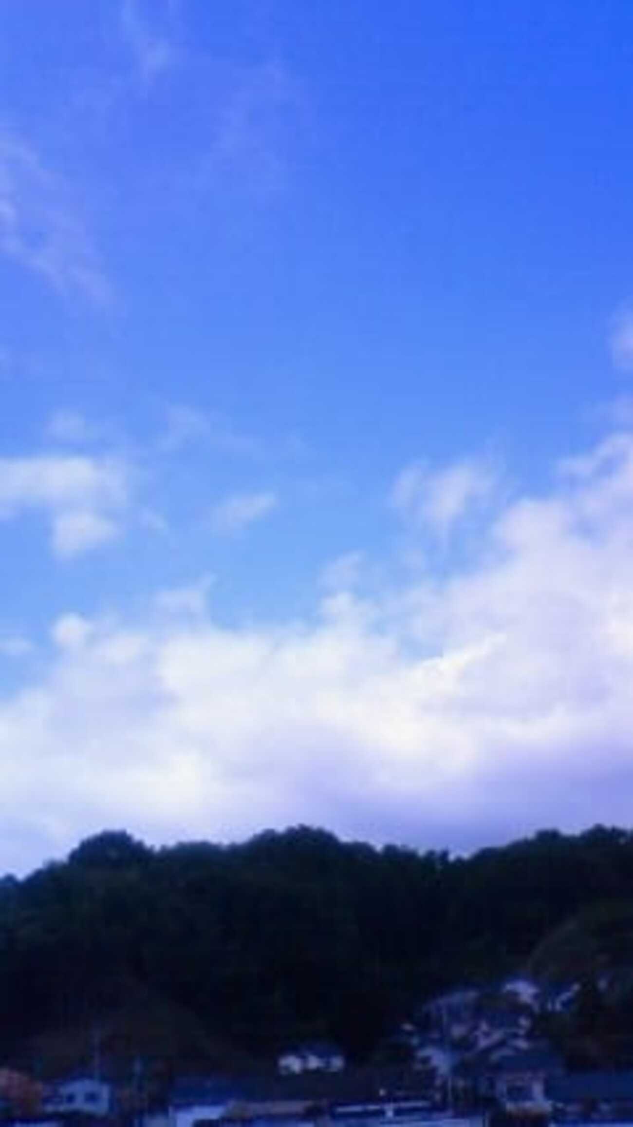 今日もいい天気で - Down To CLOVER ALLERGY